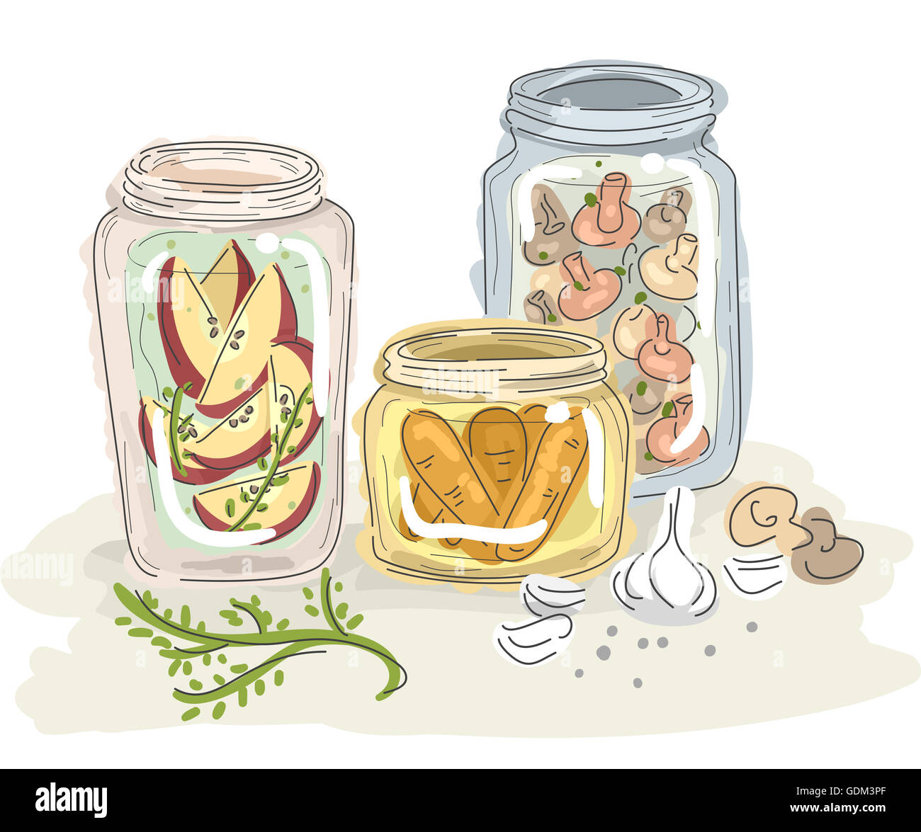 Sketchy Illustration of Fruits and Vegetables Preserved in Jars Stock ...