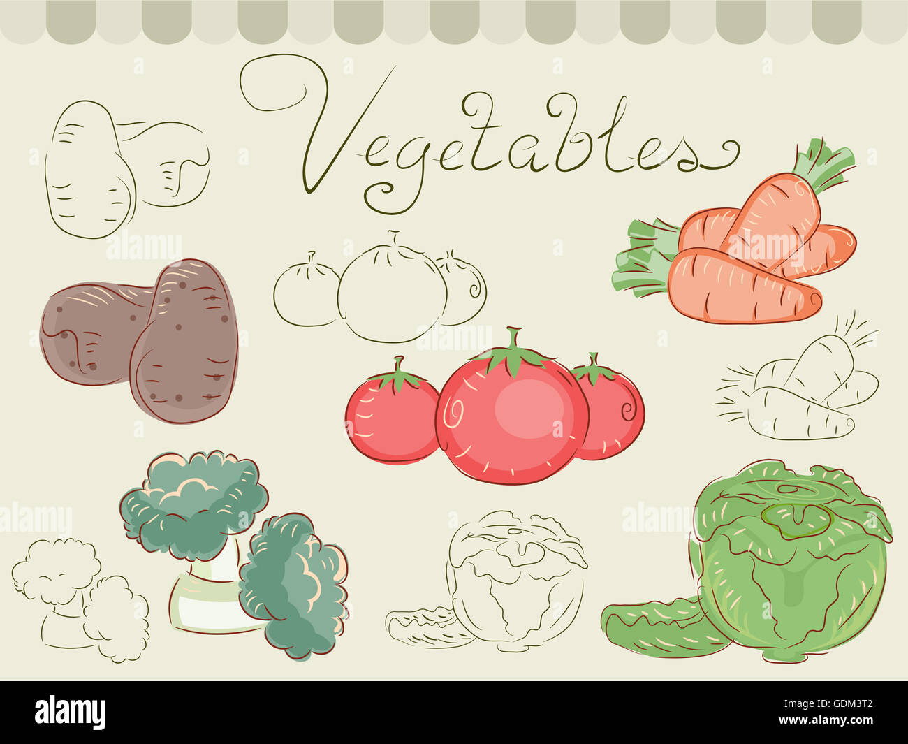 Illustration of Different Vegetables Grouped Together Stock Photo - Alamy