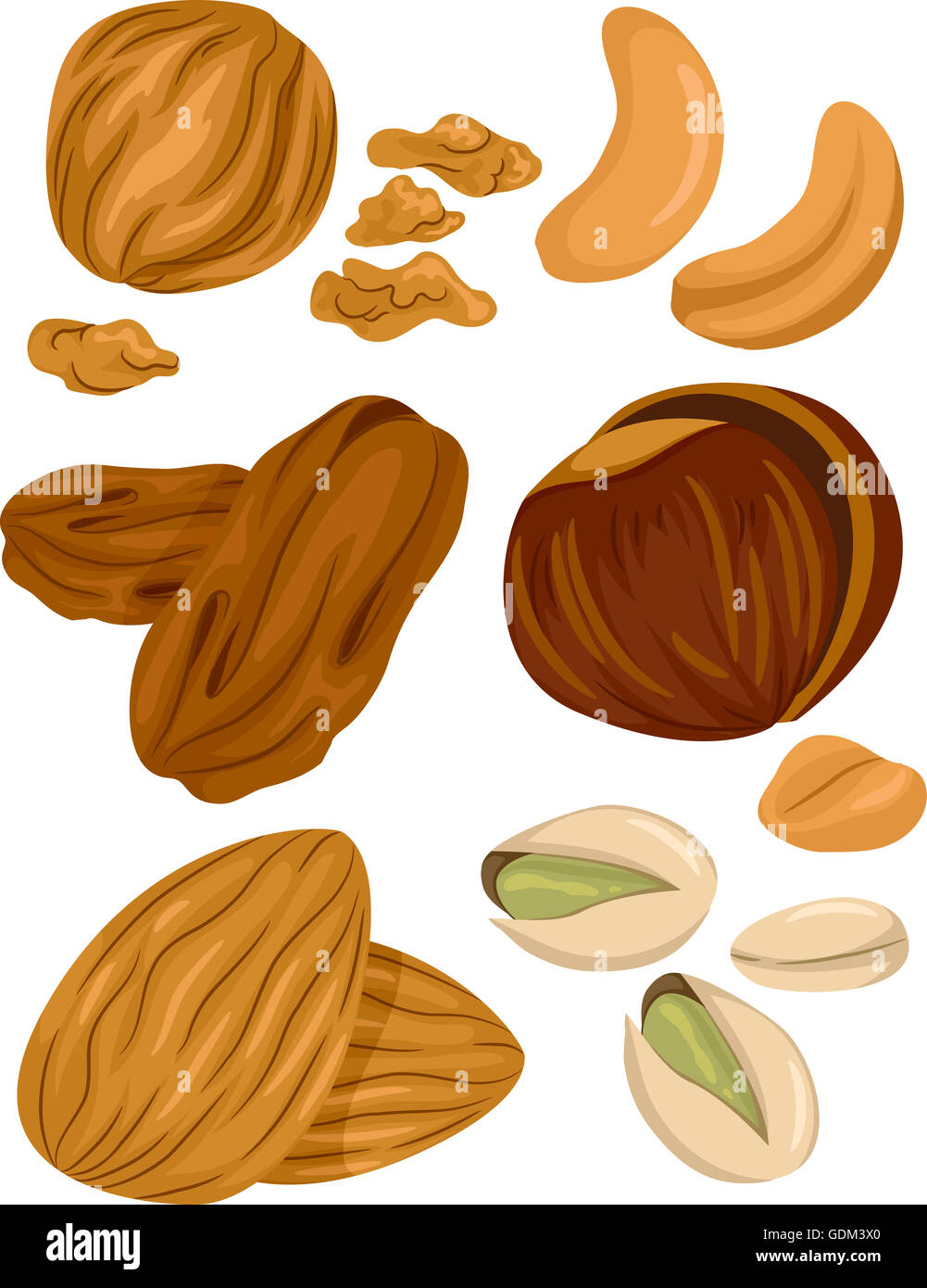 Illustration of Different Types of Nuts With a Few Cracked Open Stock ...