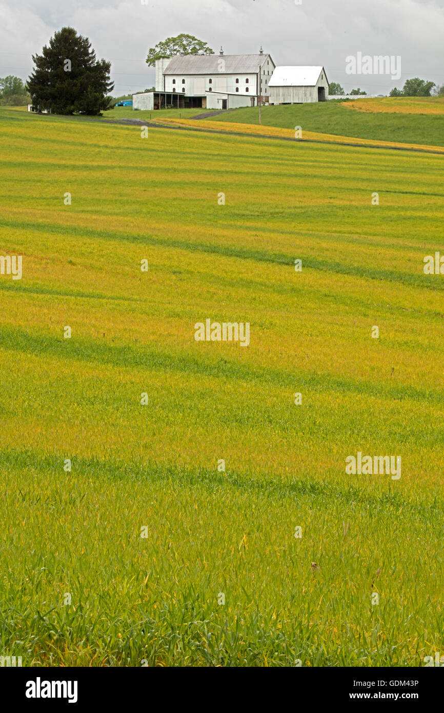 Montgomery reserve hi-res stock photography and images - Alamy