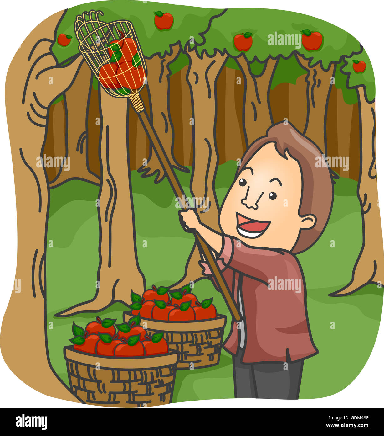 Illustration of a Man Picking Apples in an Orchard Stock Photo - Alamy