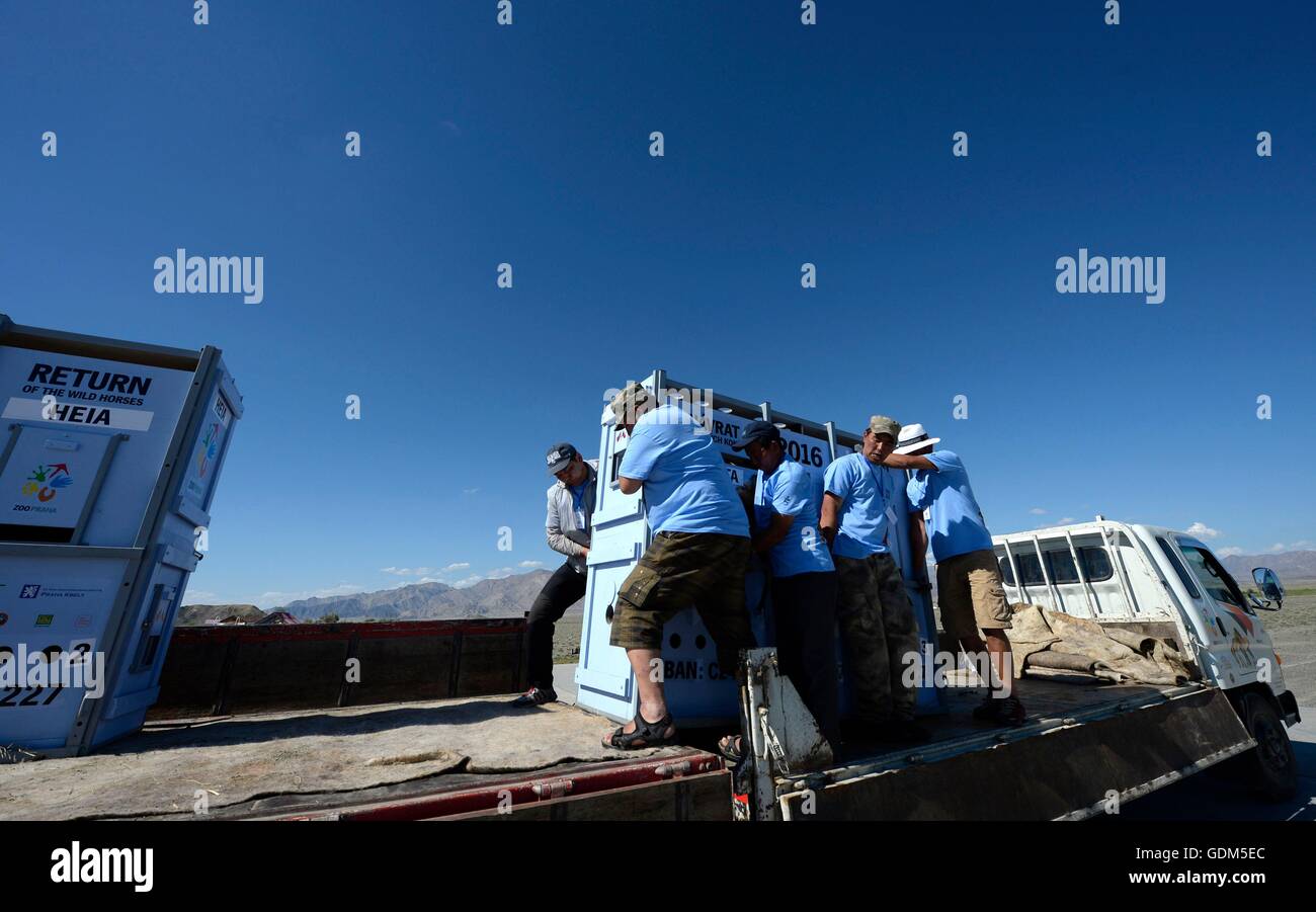 Bulgan Sum, Mongolia. 17th July, 2016. Czech Prague Zoo in cooperation ...