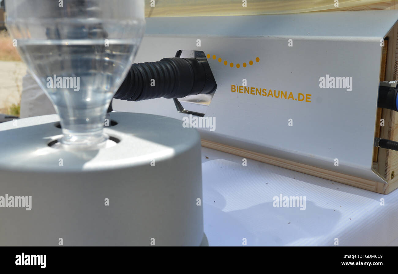 Stuttgart, Germany. 18th July, 2016. A 'bee sauna' is heating up a bee ...