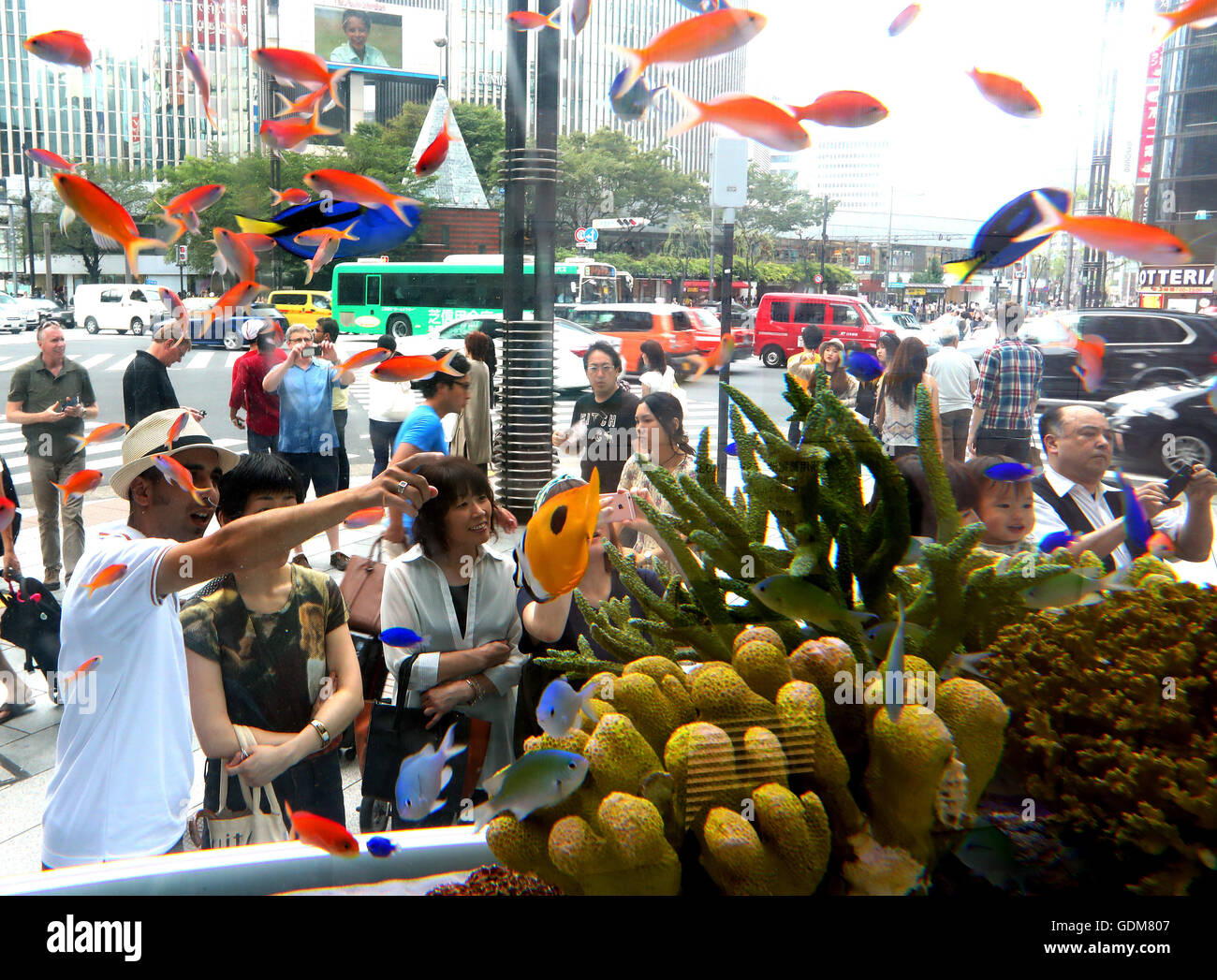 Shoppers look at numerous tropical fish from Okinawa swimming inside a ...