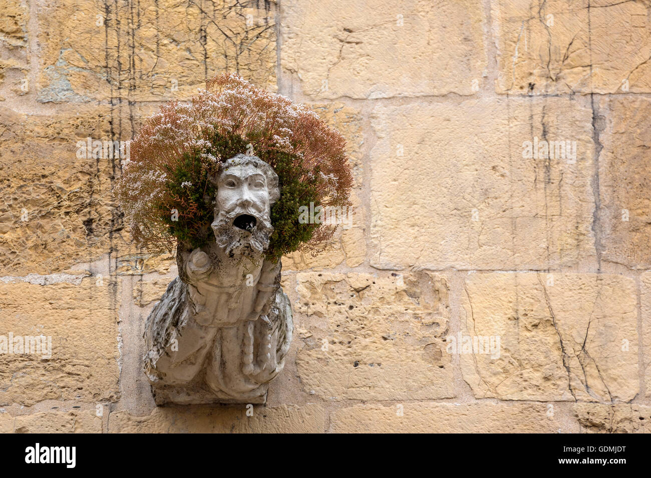 Gargoyle, rain spouts on the church facade Old Cathedral (Sé Velha ...