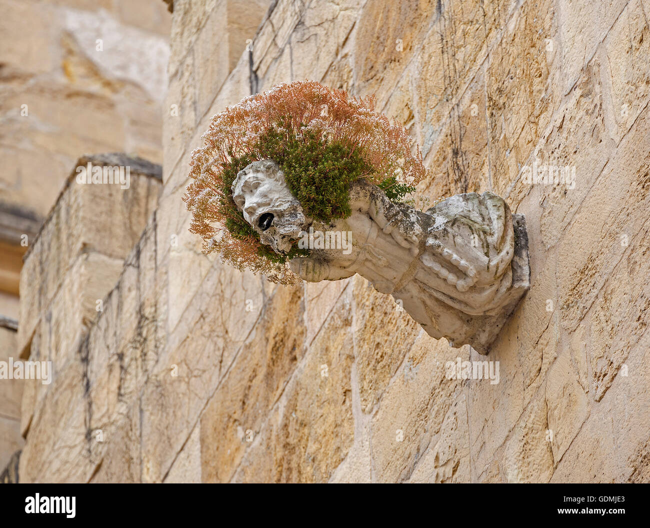 Church Gargoyle Stock Photos & Church Gargoyle Stock Images - Alamy