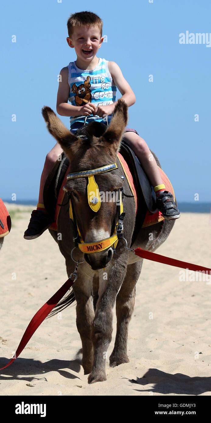 Enjoys a donkey ride along the beach at great yarmouth hi-res stock ...