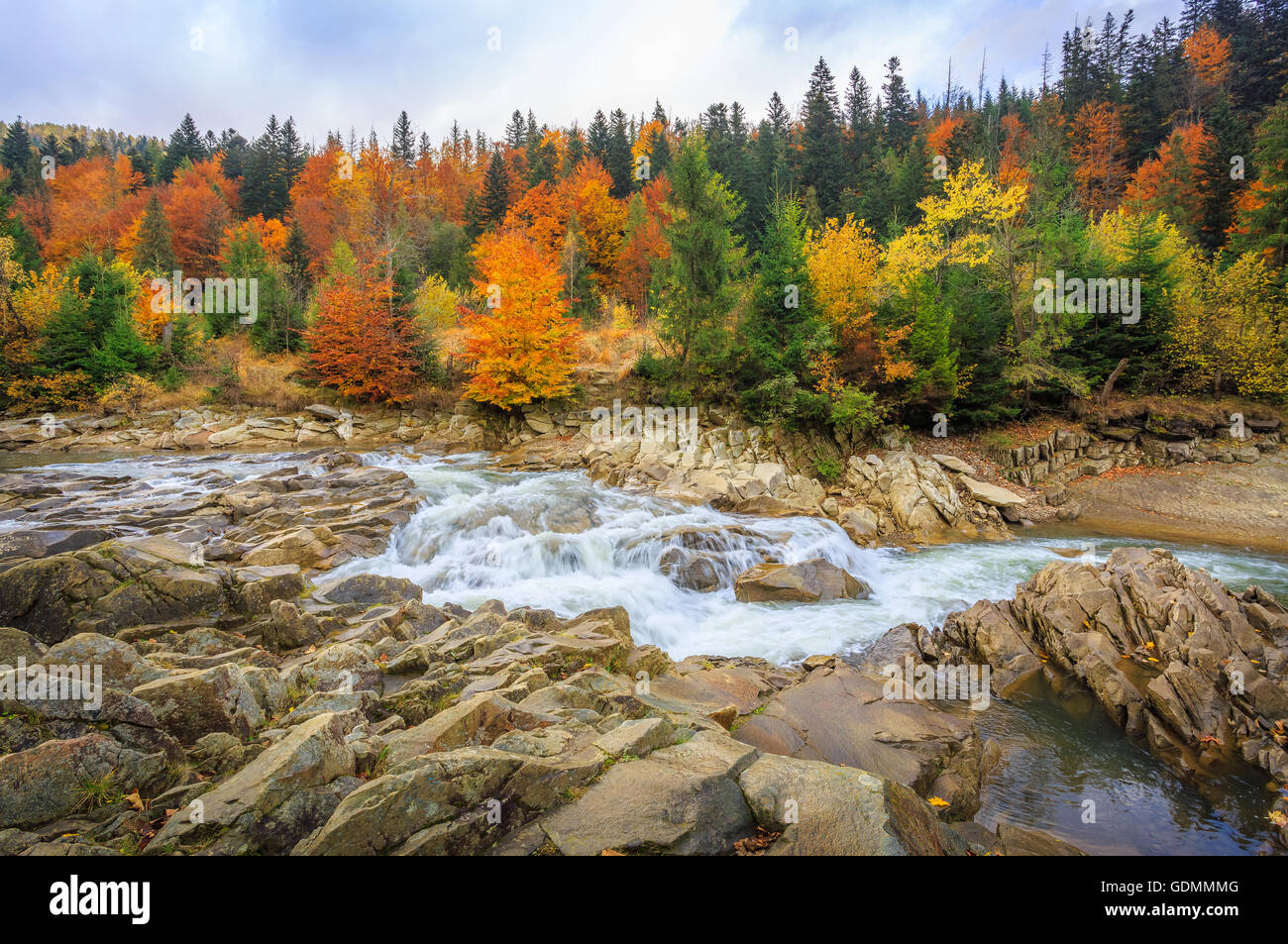 beautiful fast mountain river in autumn forest Stock Photo - Alamy