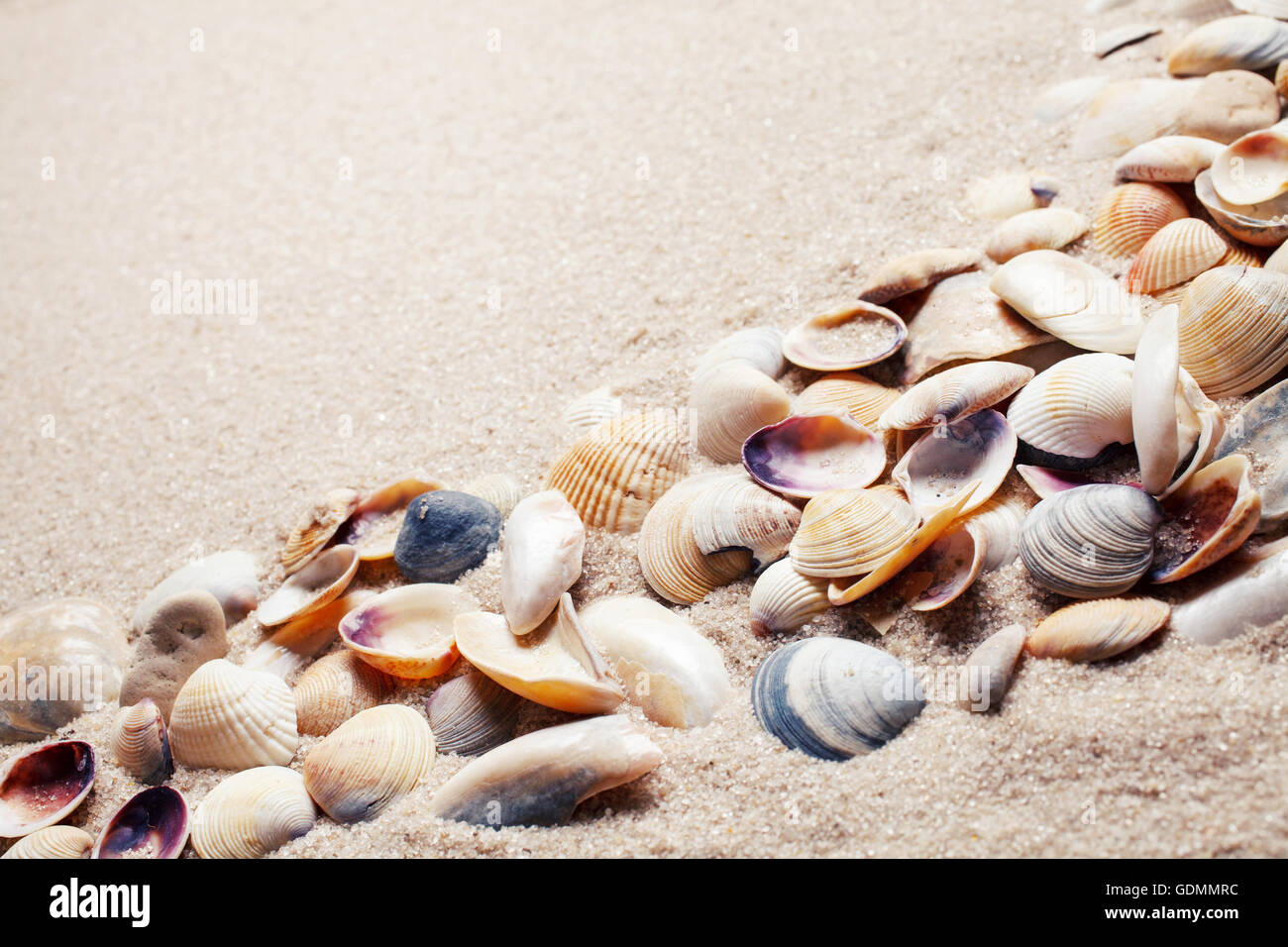 Sea shells on sand Stock Photo - Alamy