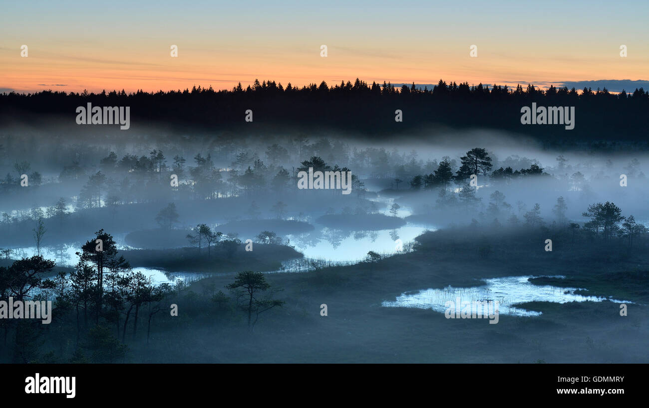 Misty night bog hi-res stock photography and images - Alamy