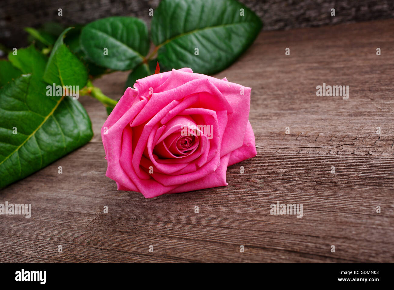 pink rose head on the wooden background Stock Photo - Alamy