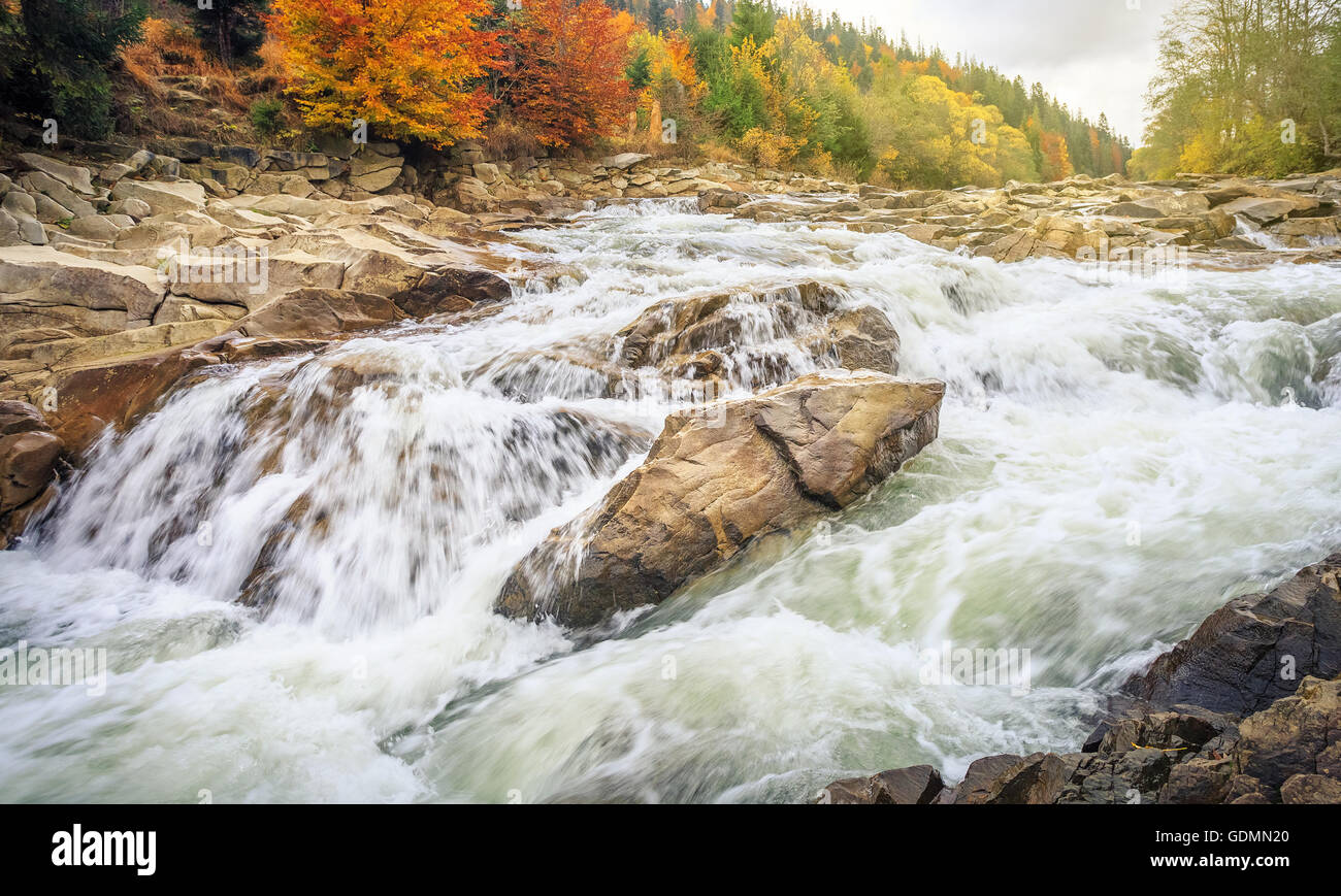 beautiful fast mountain river in autumn forest Stock Photo - Alamy
