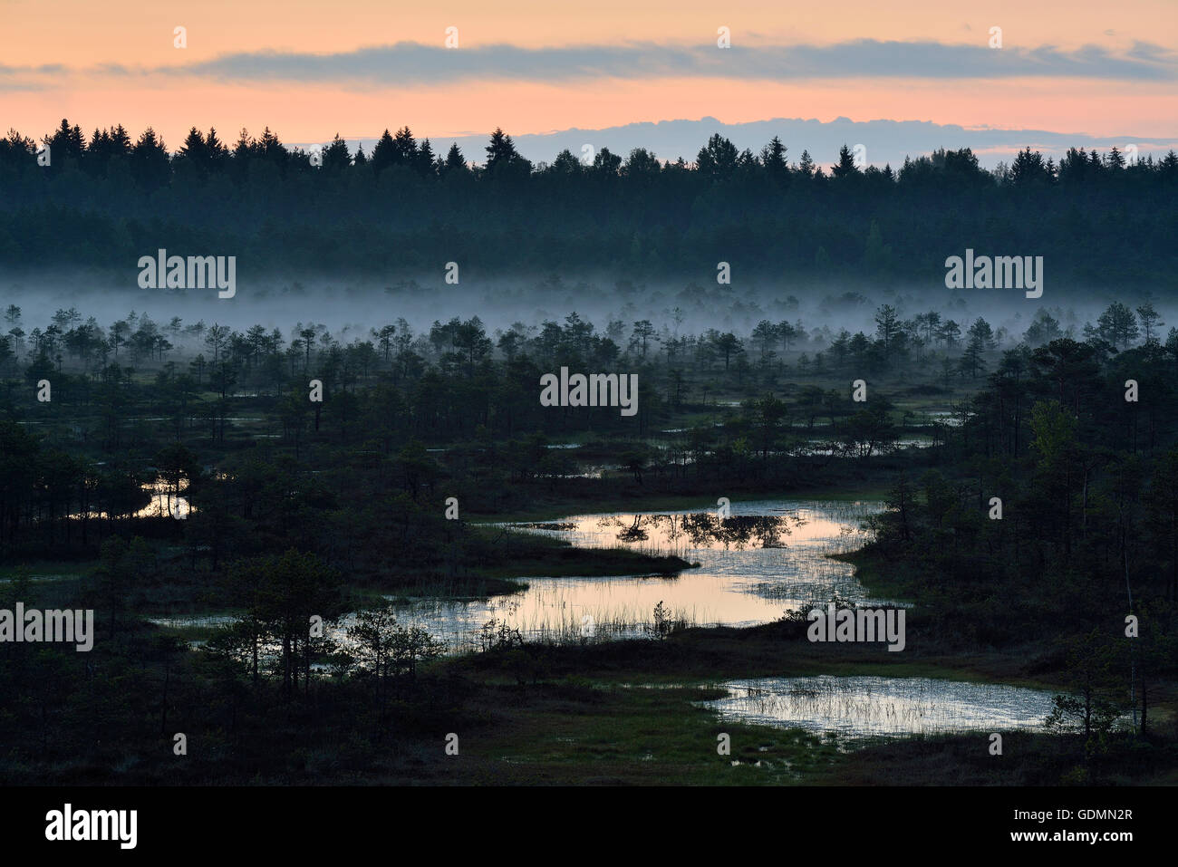 Night landscape woods summer hi-res stock photography and images - Alamy