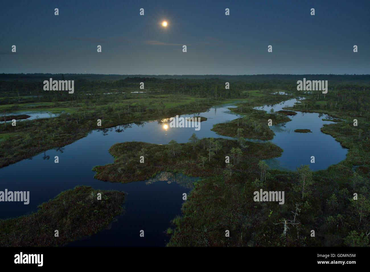 Bog at night hi-res stock photography and images - Alamy