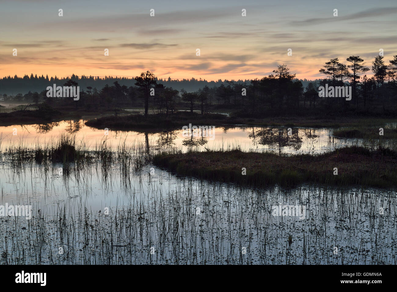 Bog at night hi-res stock photography and images - Alamy