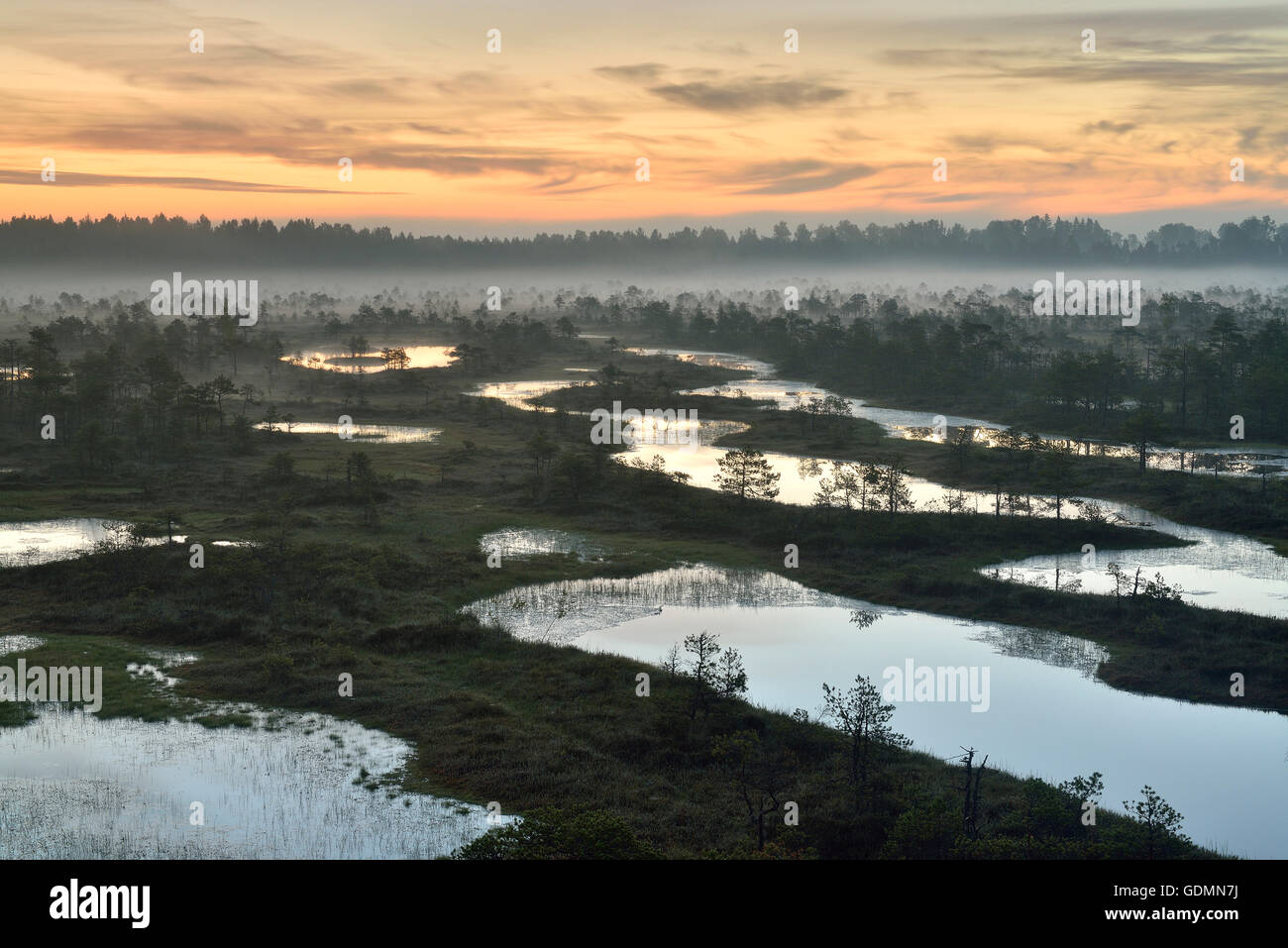 Misty summer morning in the swamp before the sunrise Stock Photo - Alamy
