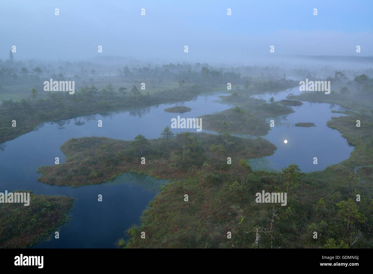 Swamp moon hi-res stock photography and images - Alamy