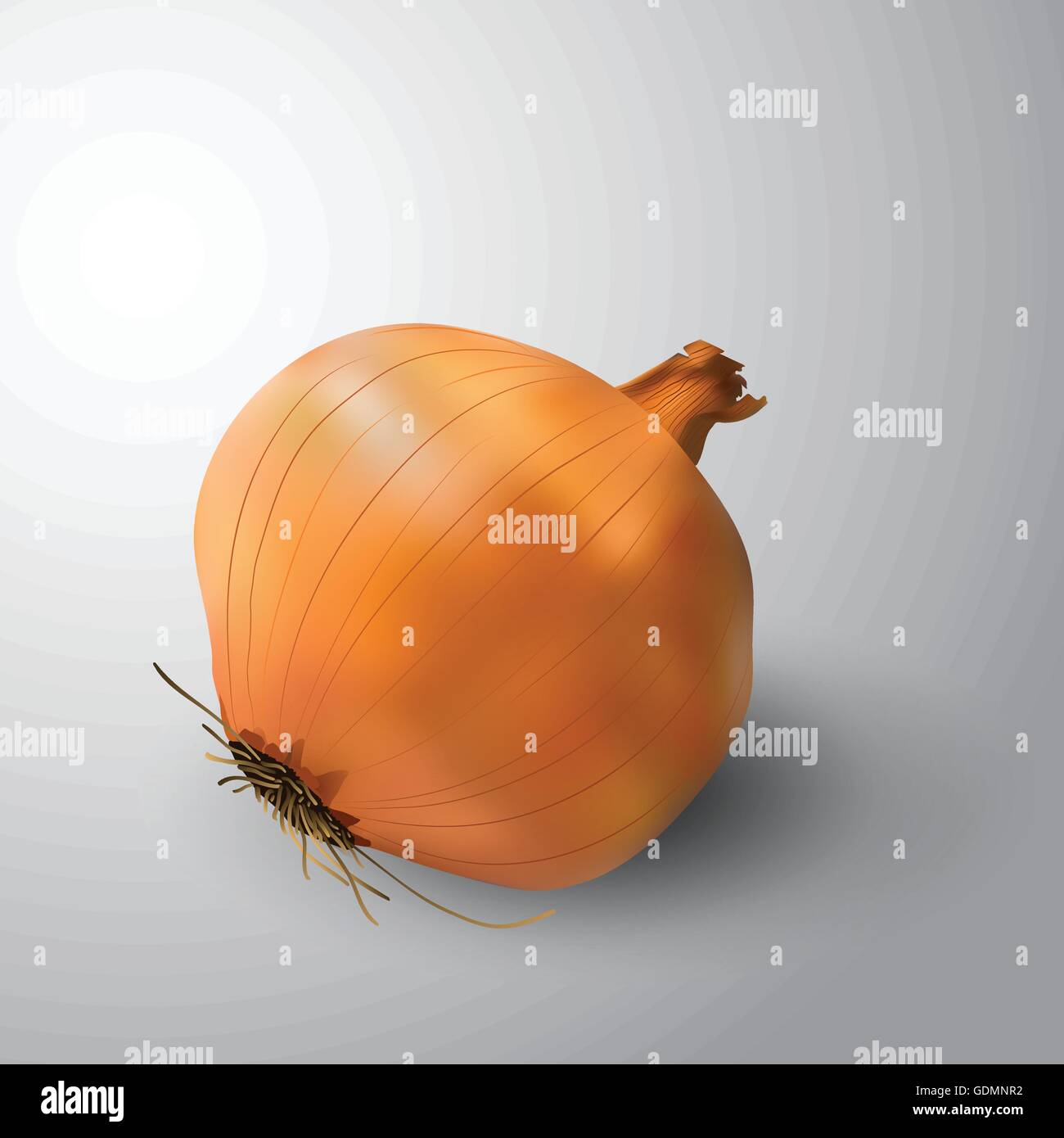 Ring ripe onion isolated Stock Vector Images - Alamy