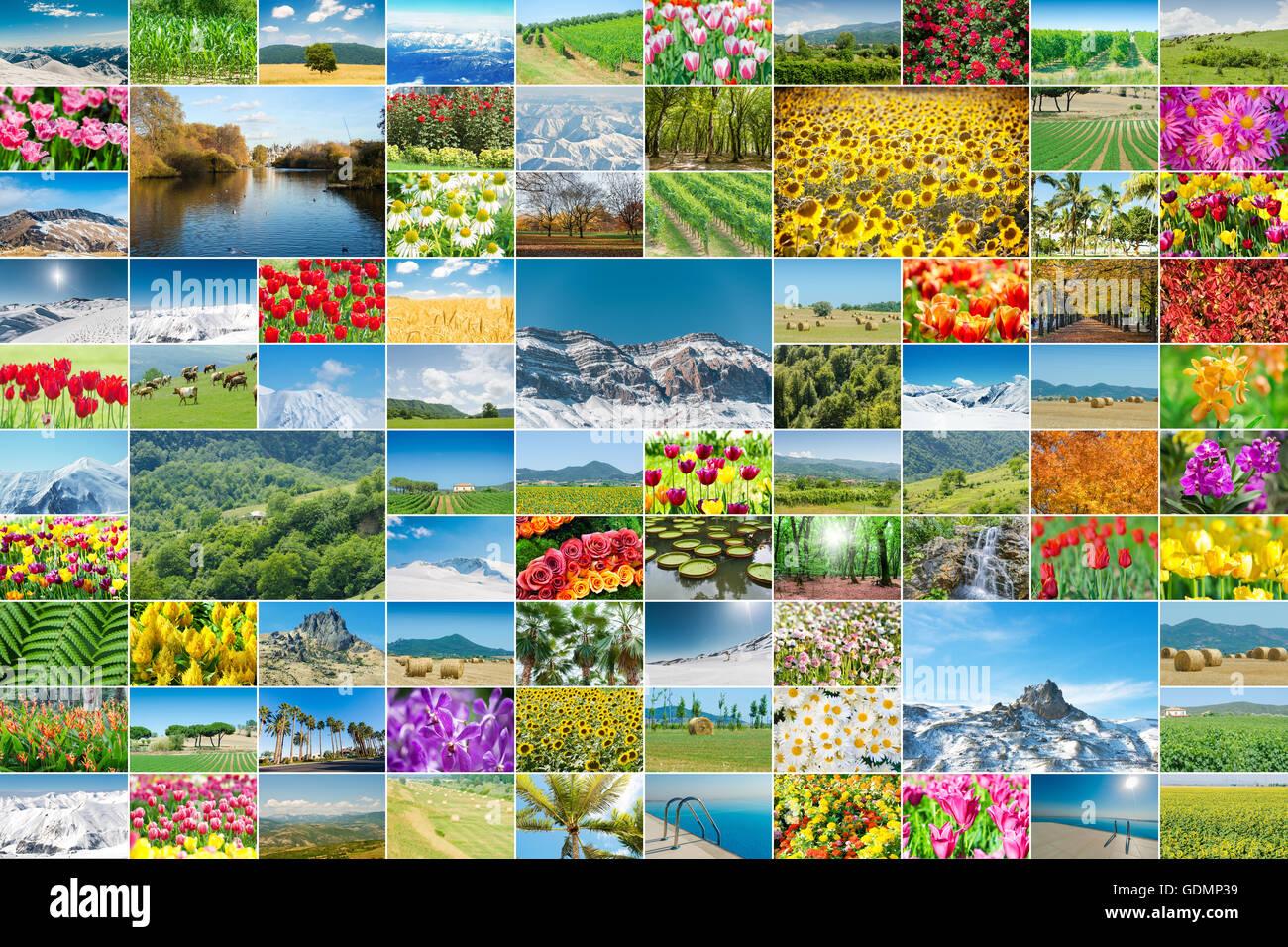 Collage of many nature photos Stock Photo - Alamy