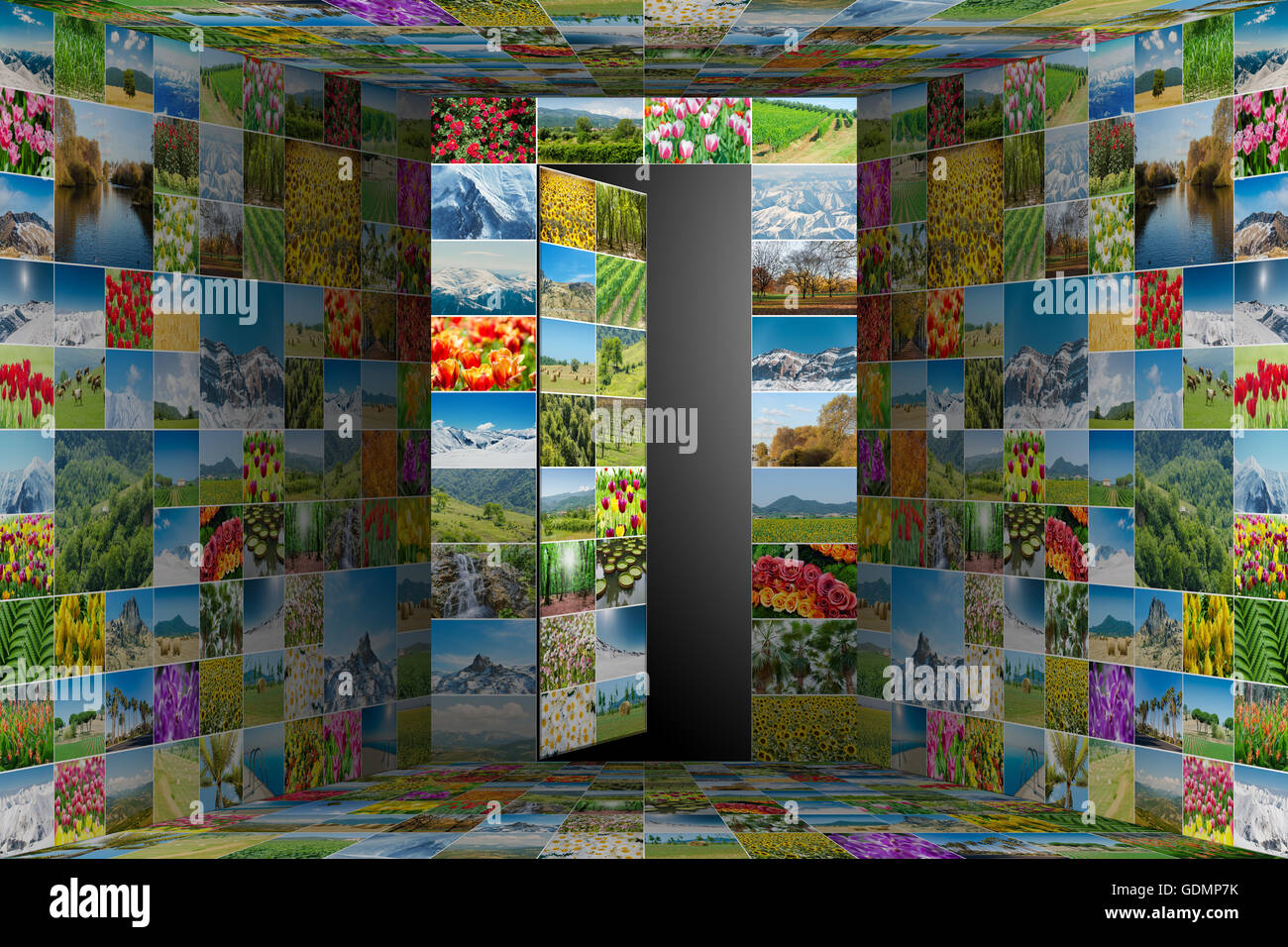 Collection of nature photos in collage concept Stock Photo - Alamy