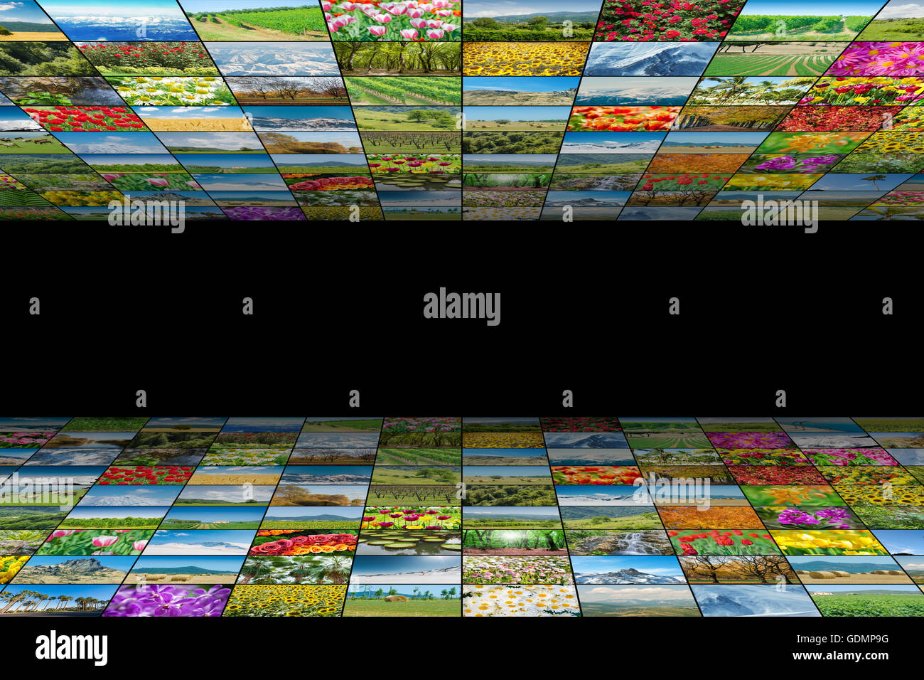 Collage of many nature photos Stock Photo - Alamy