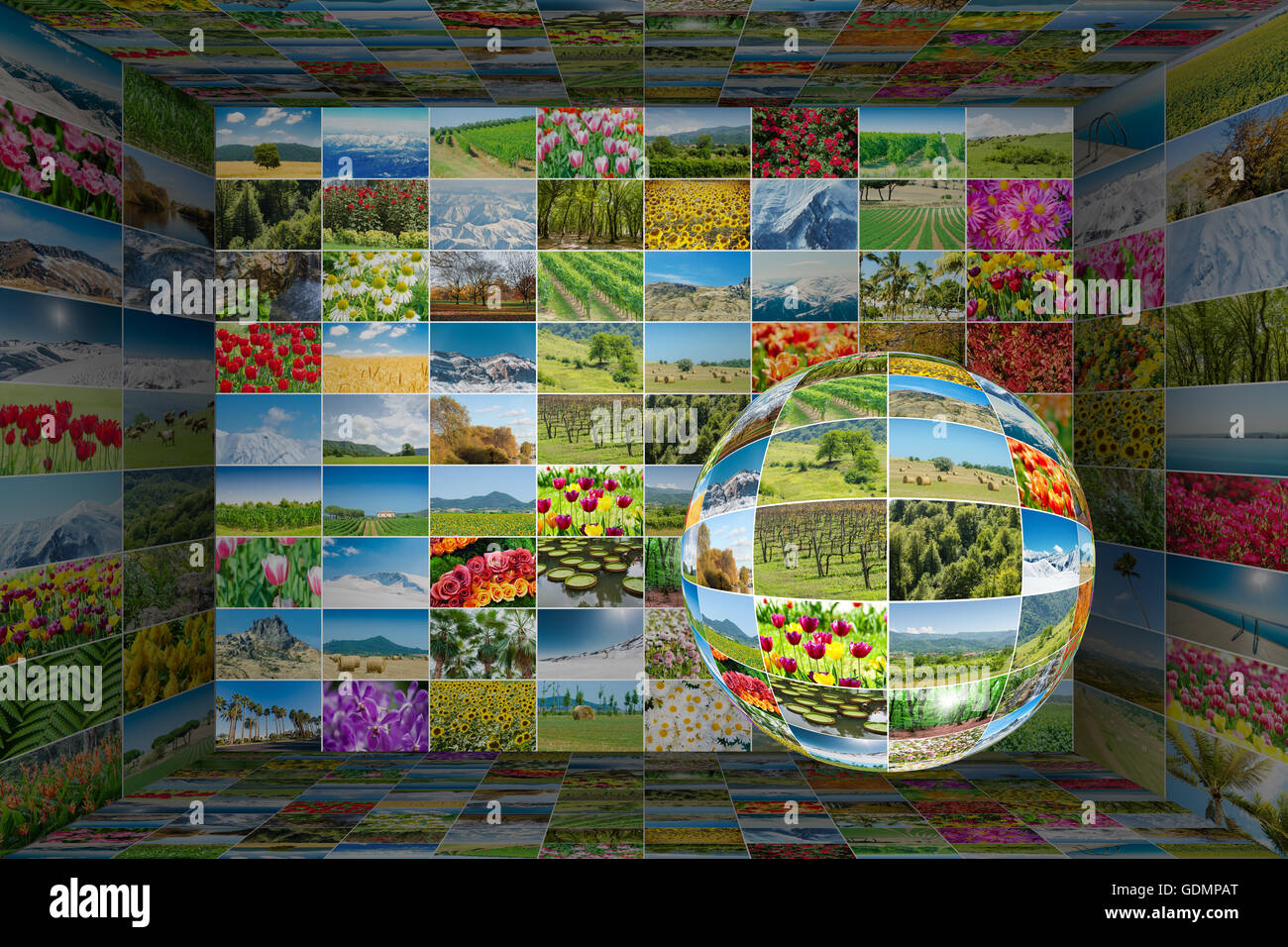 Collection of nature photos in collage concept Stock Photo - Alamy