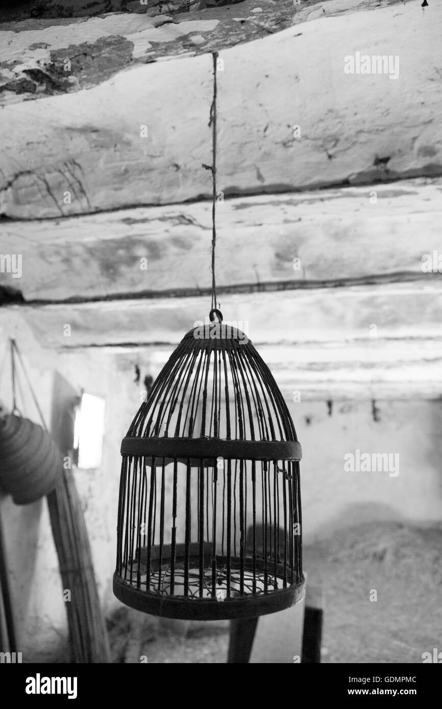 Empty metal cage hanging from the ceiling Stock Photo - Alamy