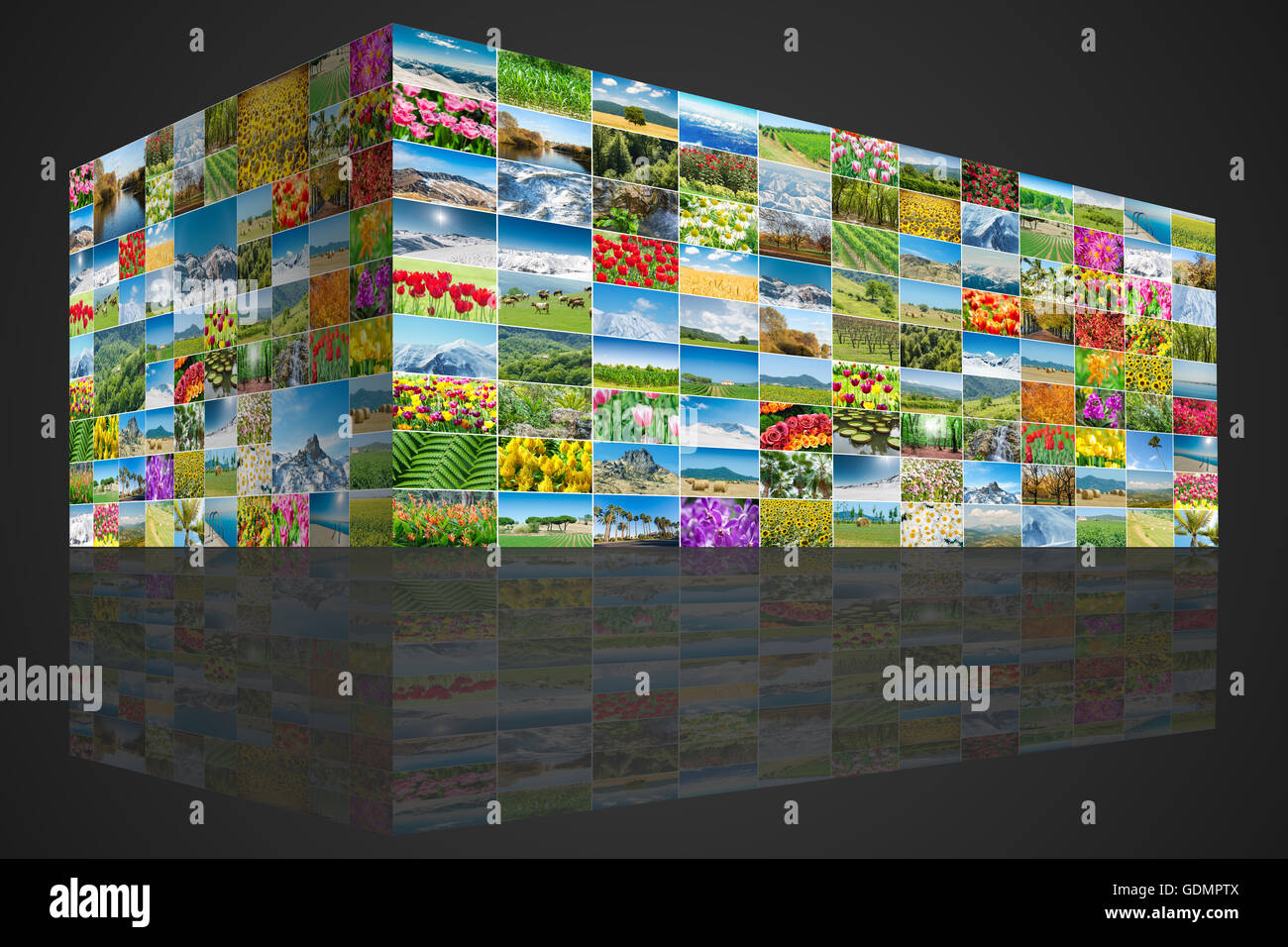 Collage of many nature photos Stock Photo - Alamy