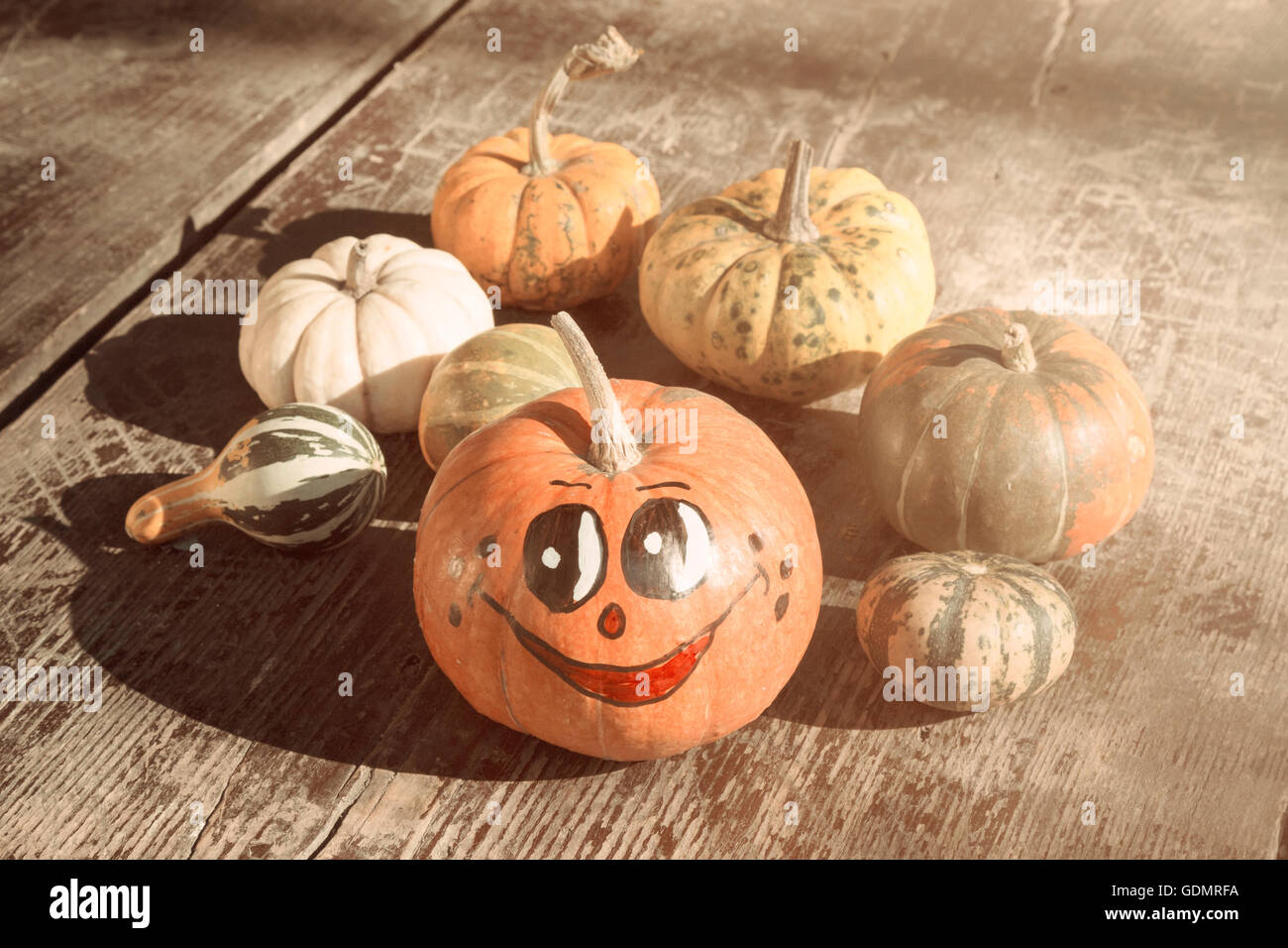 Smiling gourds hi-res stock photography and images - Alamy