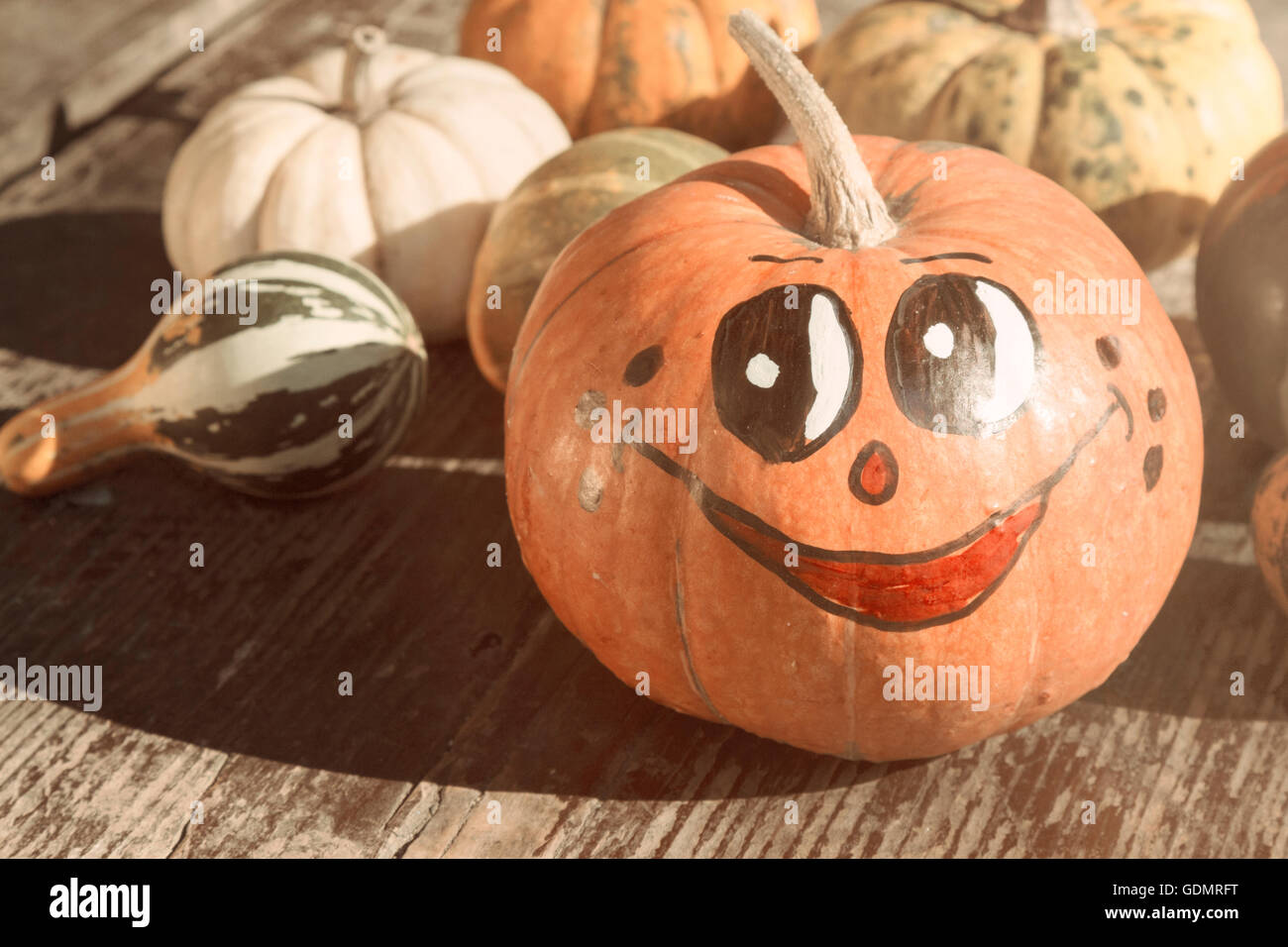 Smiling gourds hi-res stock photography and images - Alamy