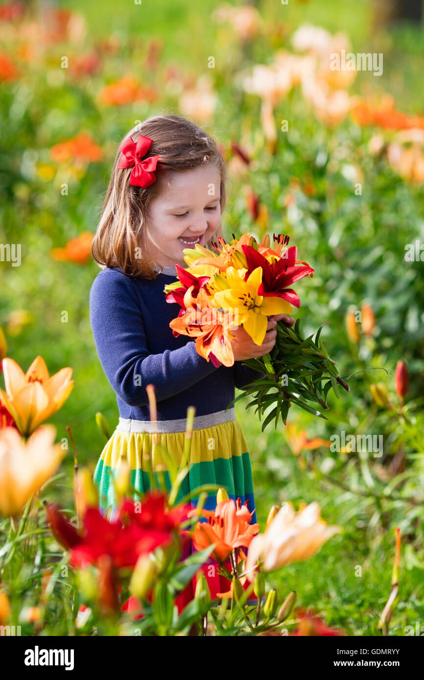 Cute little girl picking lily flowers in blooming summer garden. Child ...