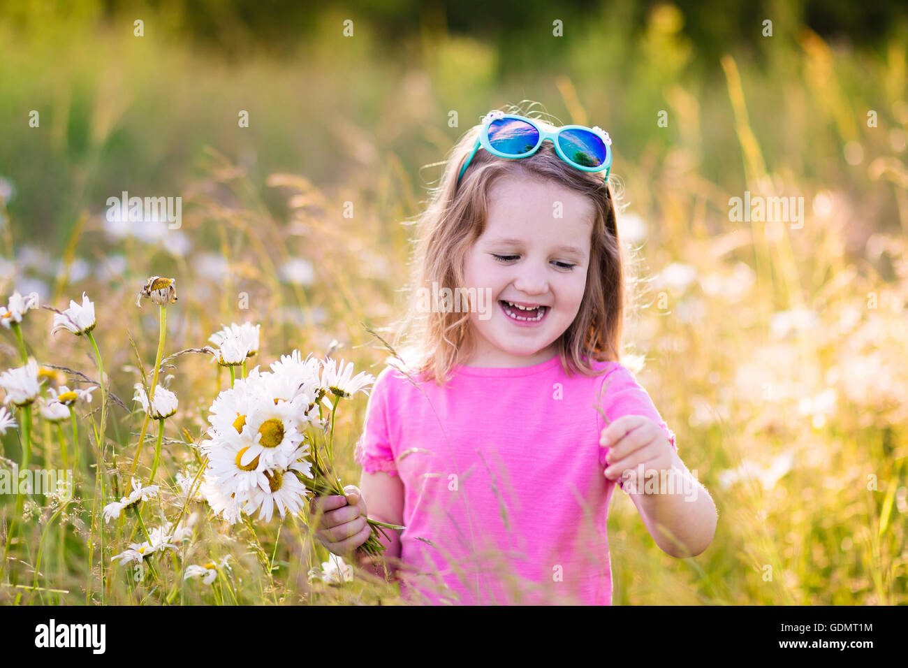 Child picking wild daisy flowers in field. Kids play in a meadow and ...