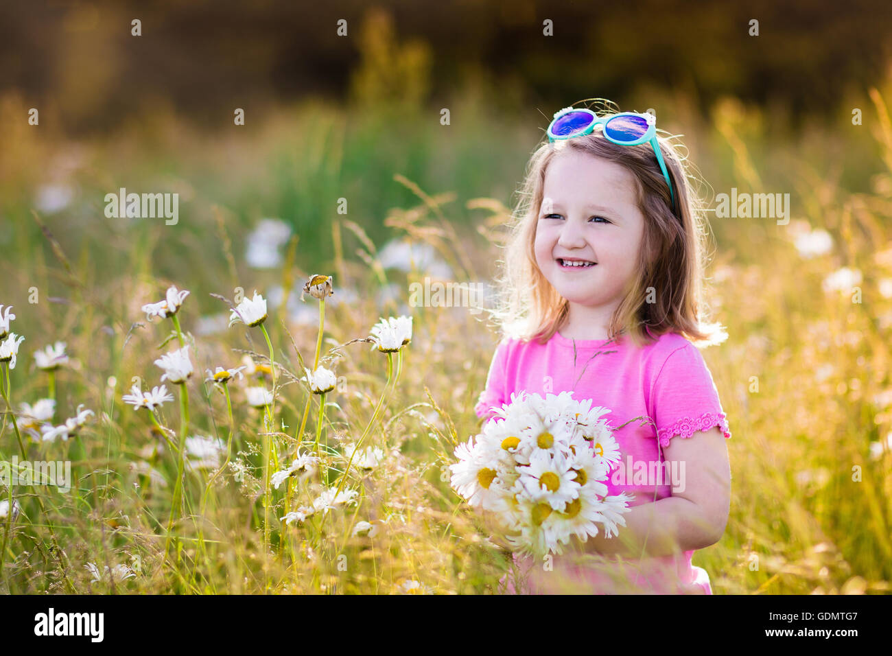 Child picking wild daisy flowers in field. Kids play in a meadow and ...