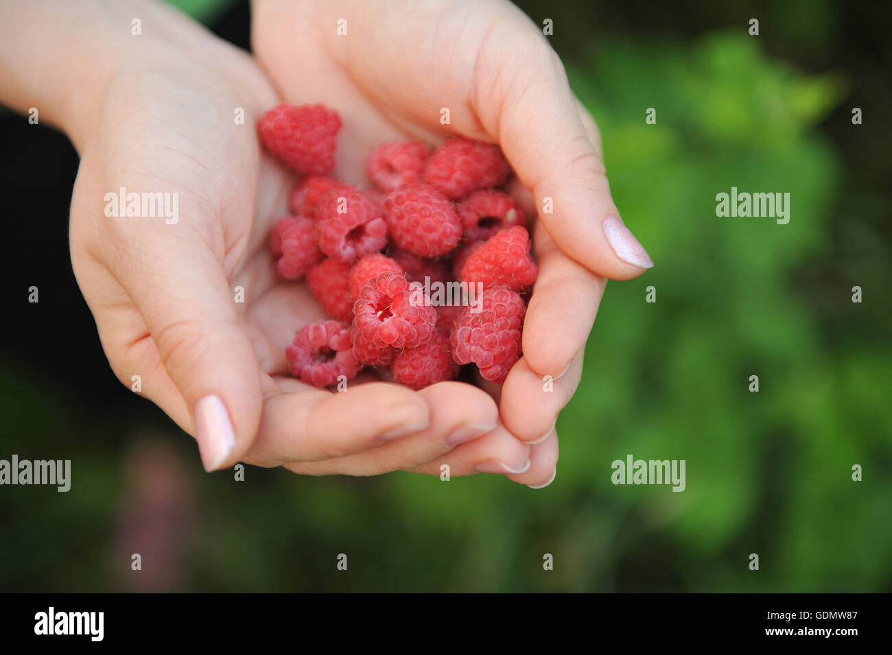 Handful of fresh fruit hi-res stock photography and images - Alamy