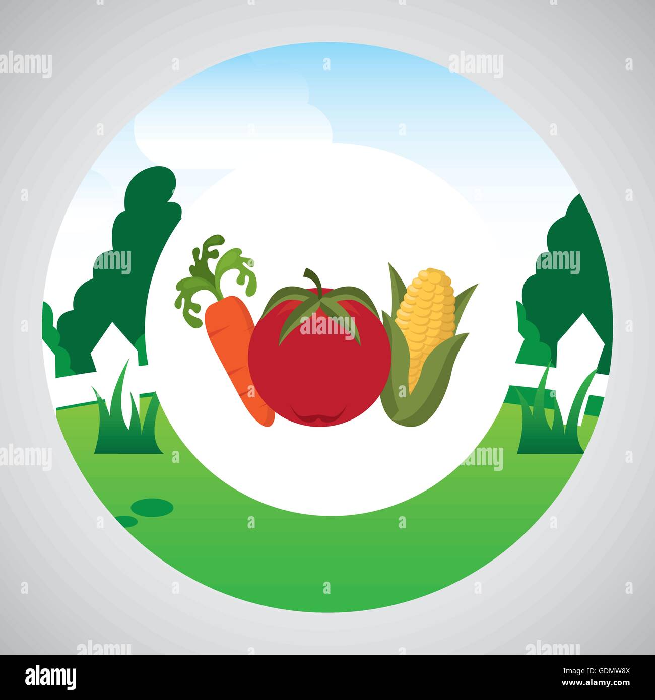 Beautiful corn field design Stock Vector Images - Alamy