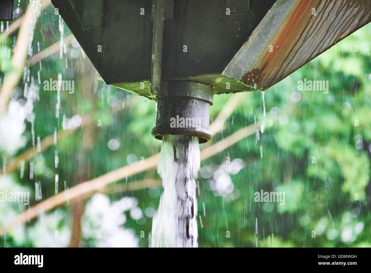 Large amount of water running from a scupper box down a chain of metal ...