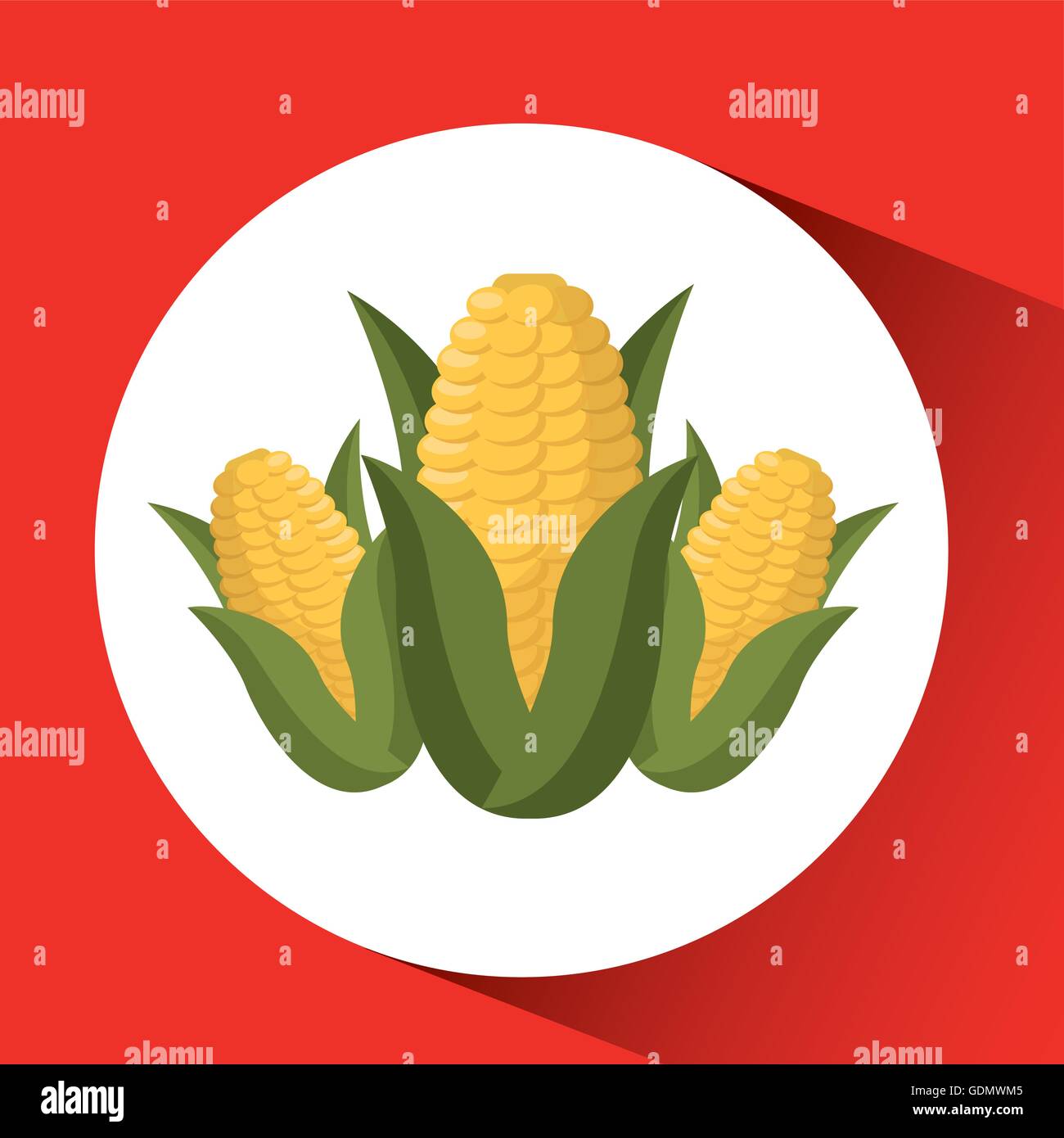 Beautiful corn field design Stock Vector Images - Alamy