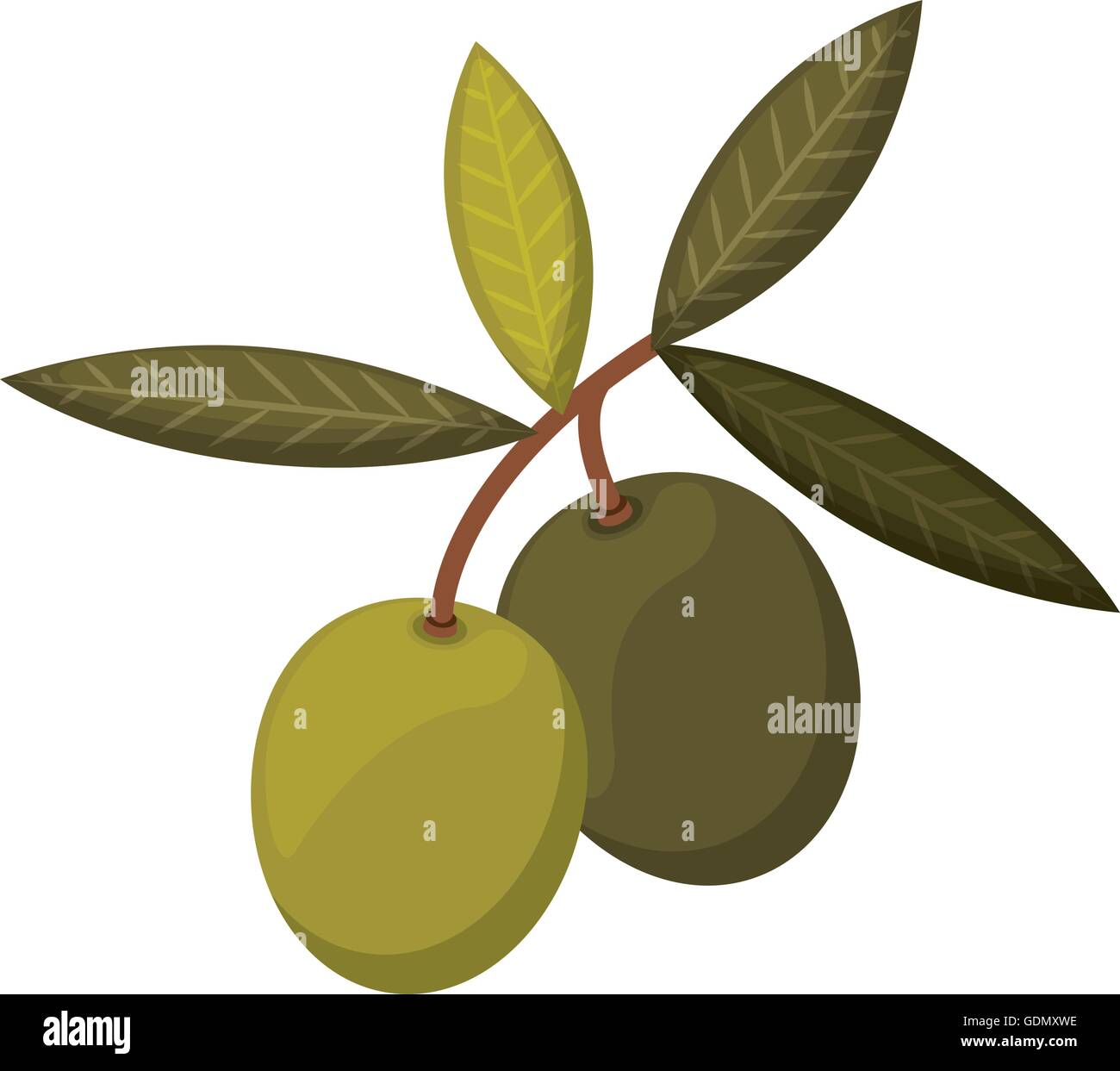 olive seeds isolated icon design Stock Vector Image & Art - Alamy