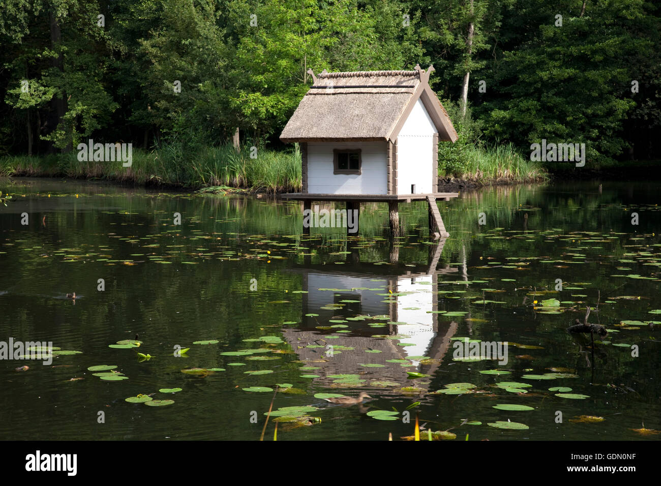Duck house in a pond, Castle Gardens, Schloss Luebbenau Castle ...