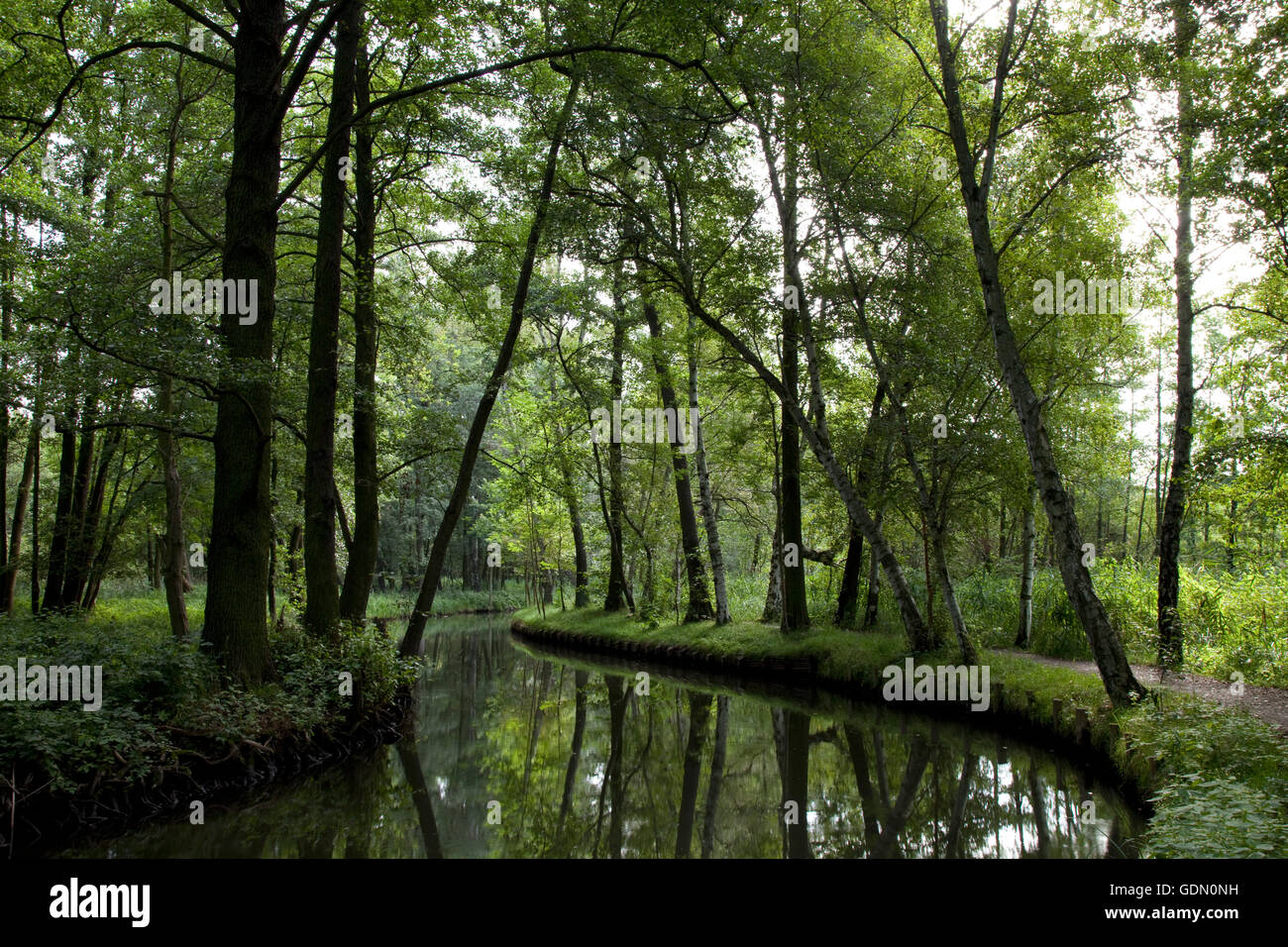 Landscape at the river, Spreewald Biosphere Reserve, Luebbenau ...