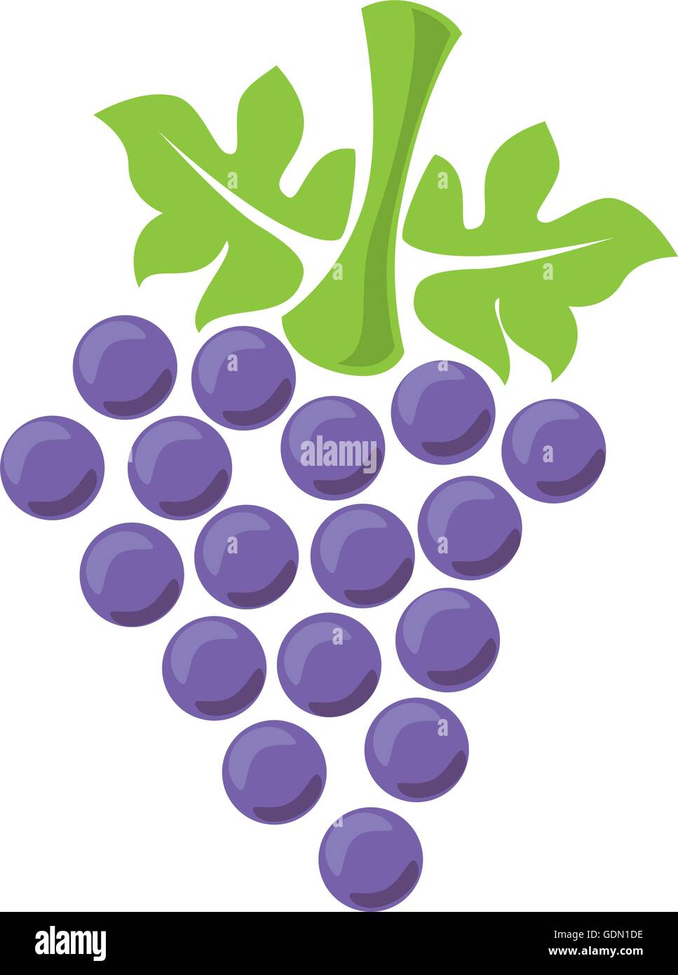 Grapes fruit icon vector illustration Stock Vector Image & Art - Alamy