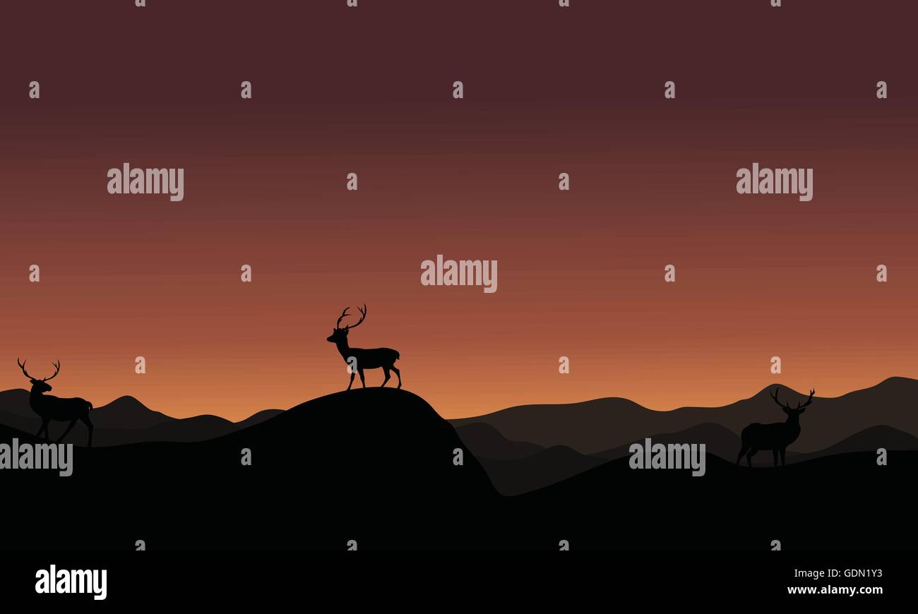 At sunset antelope landscape silhoutte Stock Vector Image & Art - Alamy