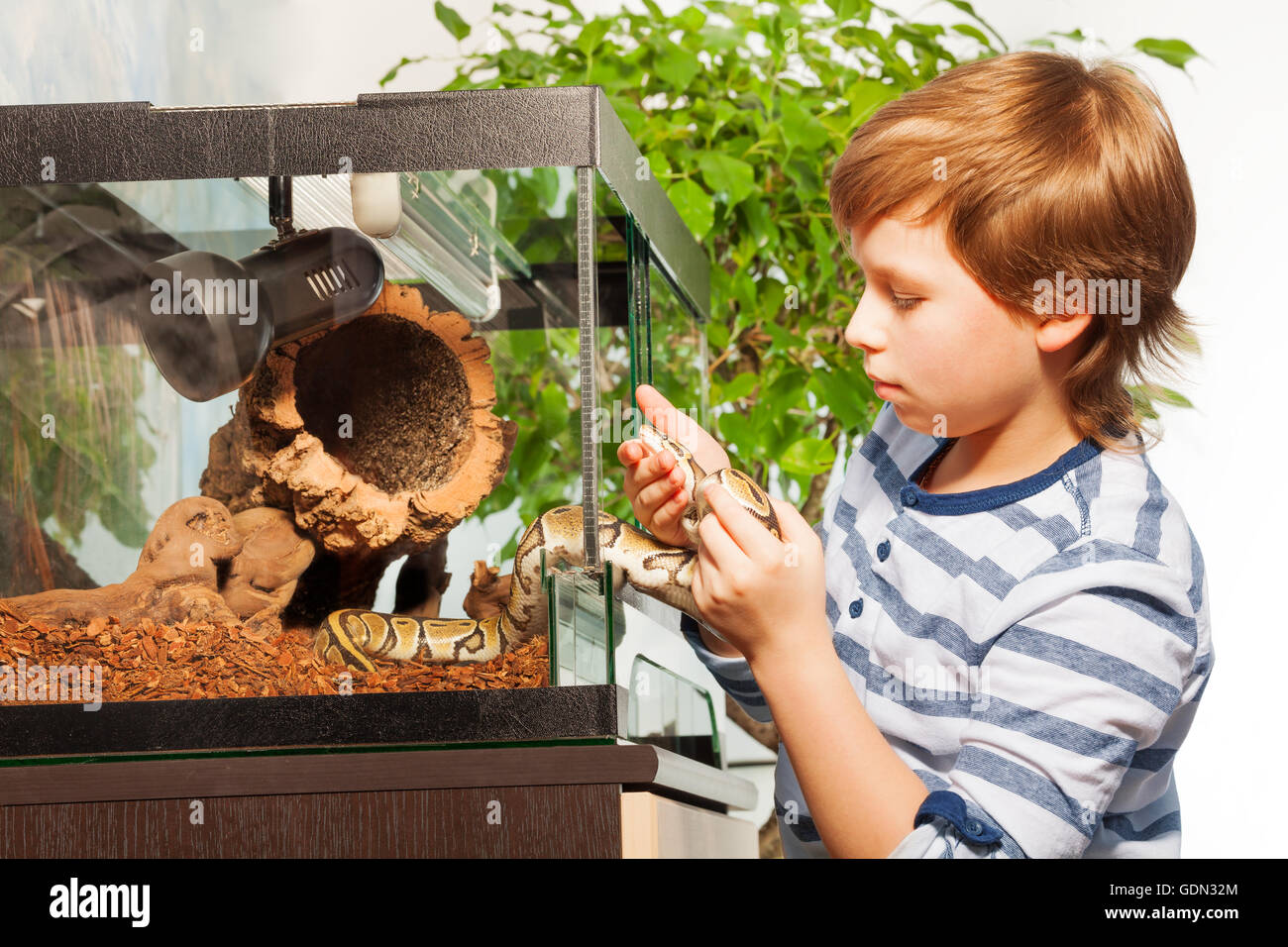Boy with python hi-res stock photography and images - Alamy