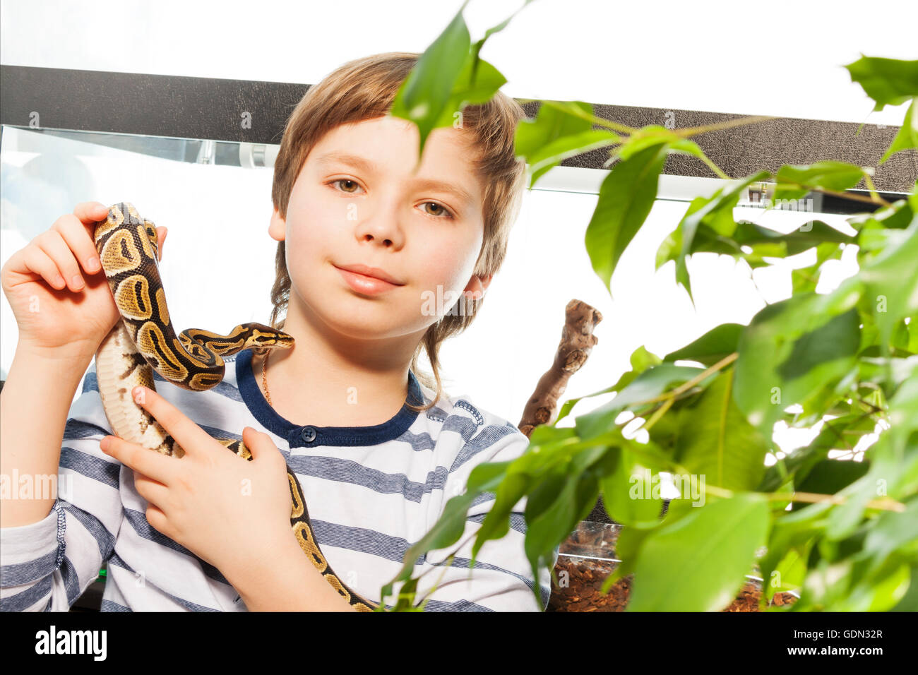 Ophidiarium hi-res stock photography and images - Alamy