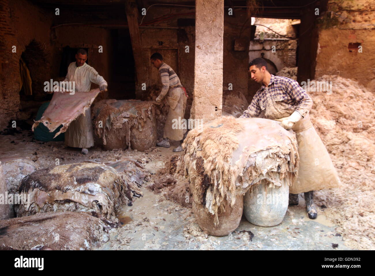The Leather production in the old City in the historical Town of Fes in ...
