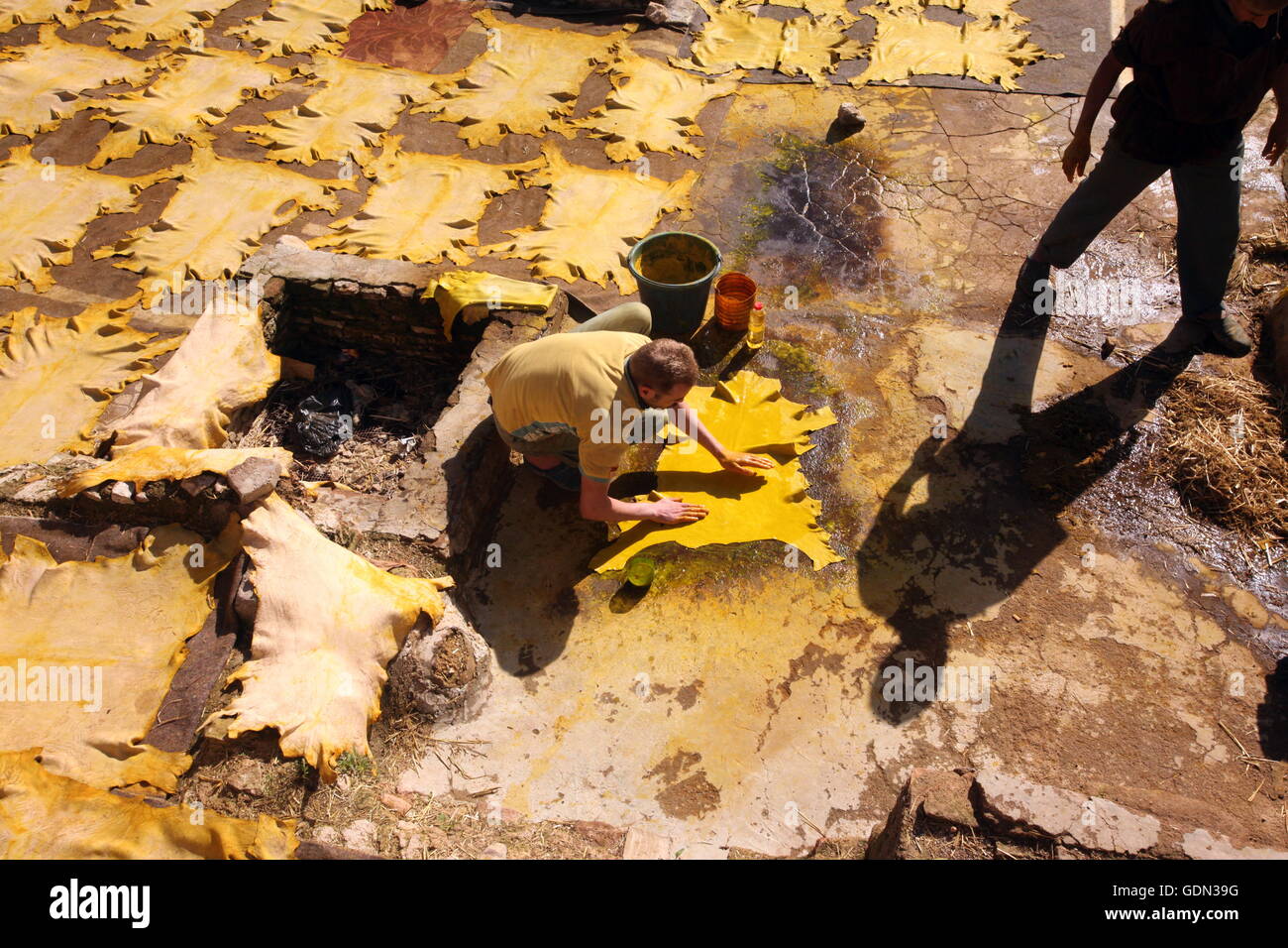 The Leather production in the old City in the historical Town of Fes in ...