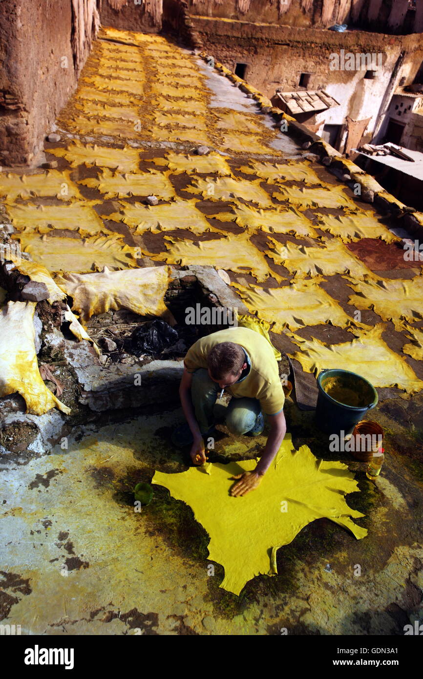 The Leather production in the old City in the historical Town of Fes in ...