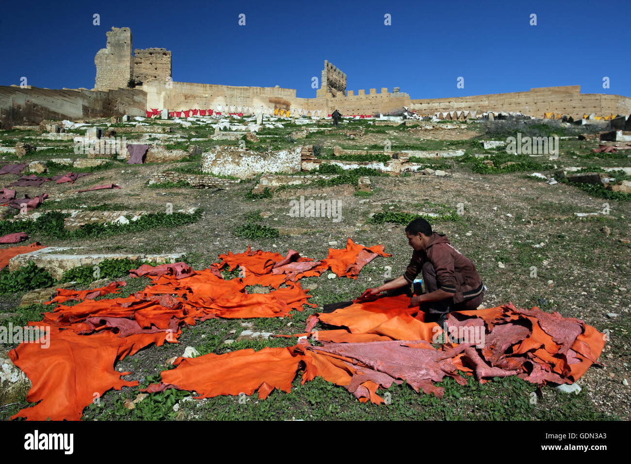 The fresh Leather gets dry on the sun near Leather production in front ...