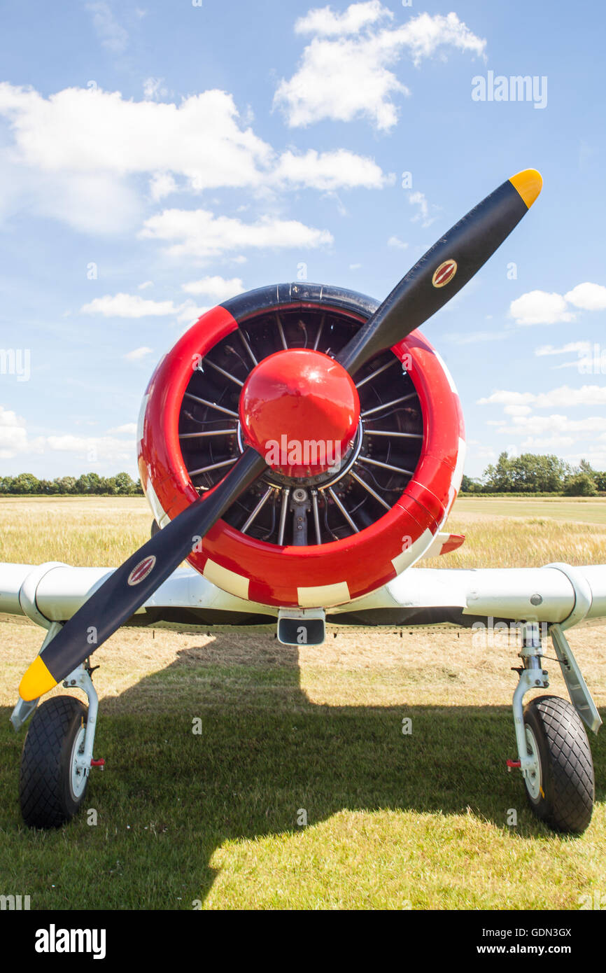 at-6D Harvard III (T6 Texan) at hardwick warbirds Stock Photo - Alamy