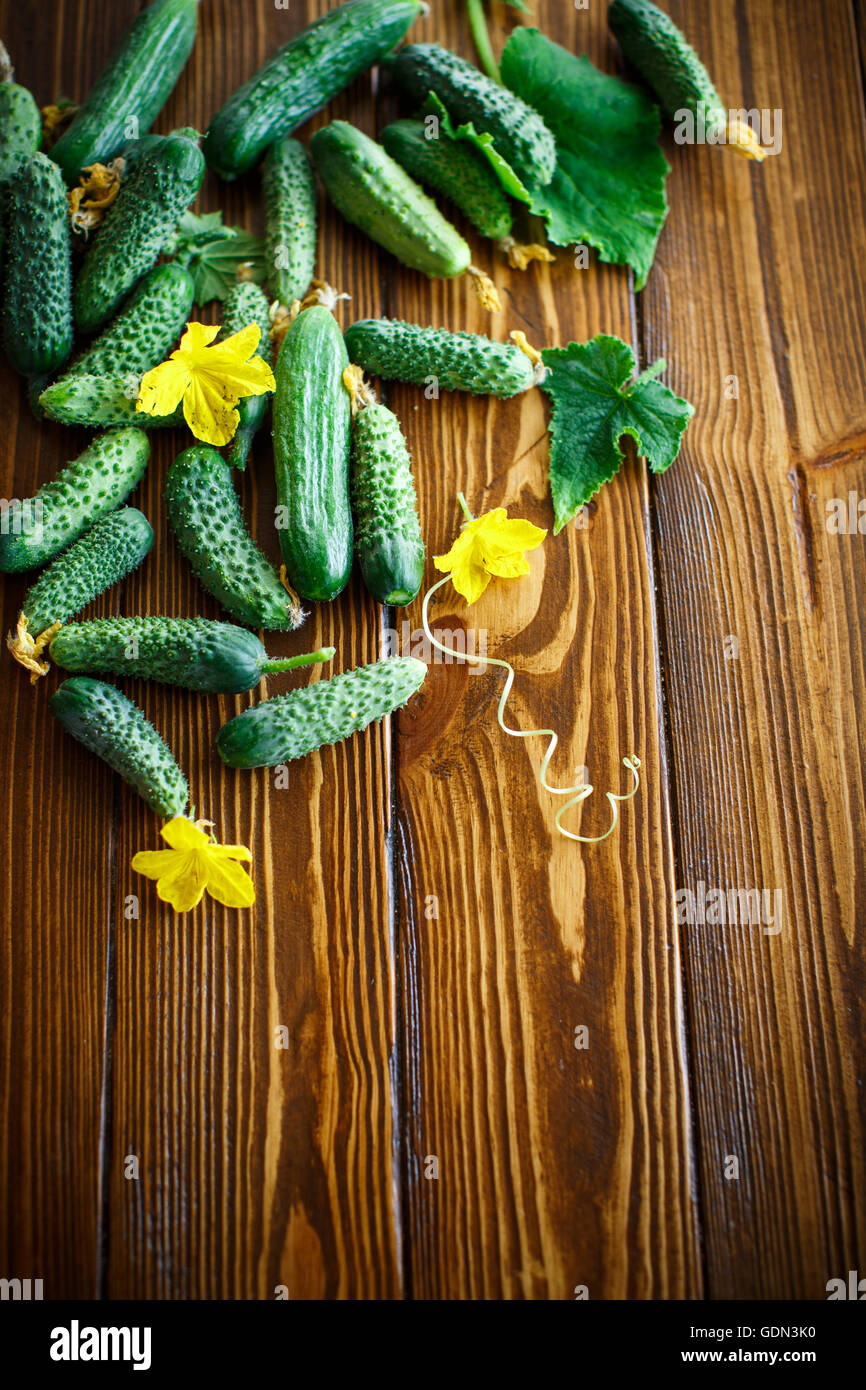 fresh organic cucumbers Stock Photo - Alamy